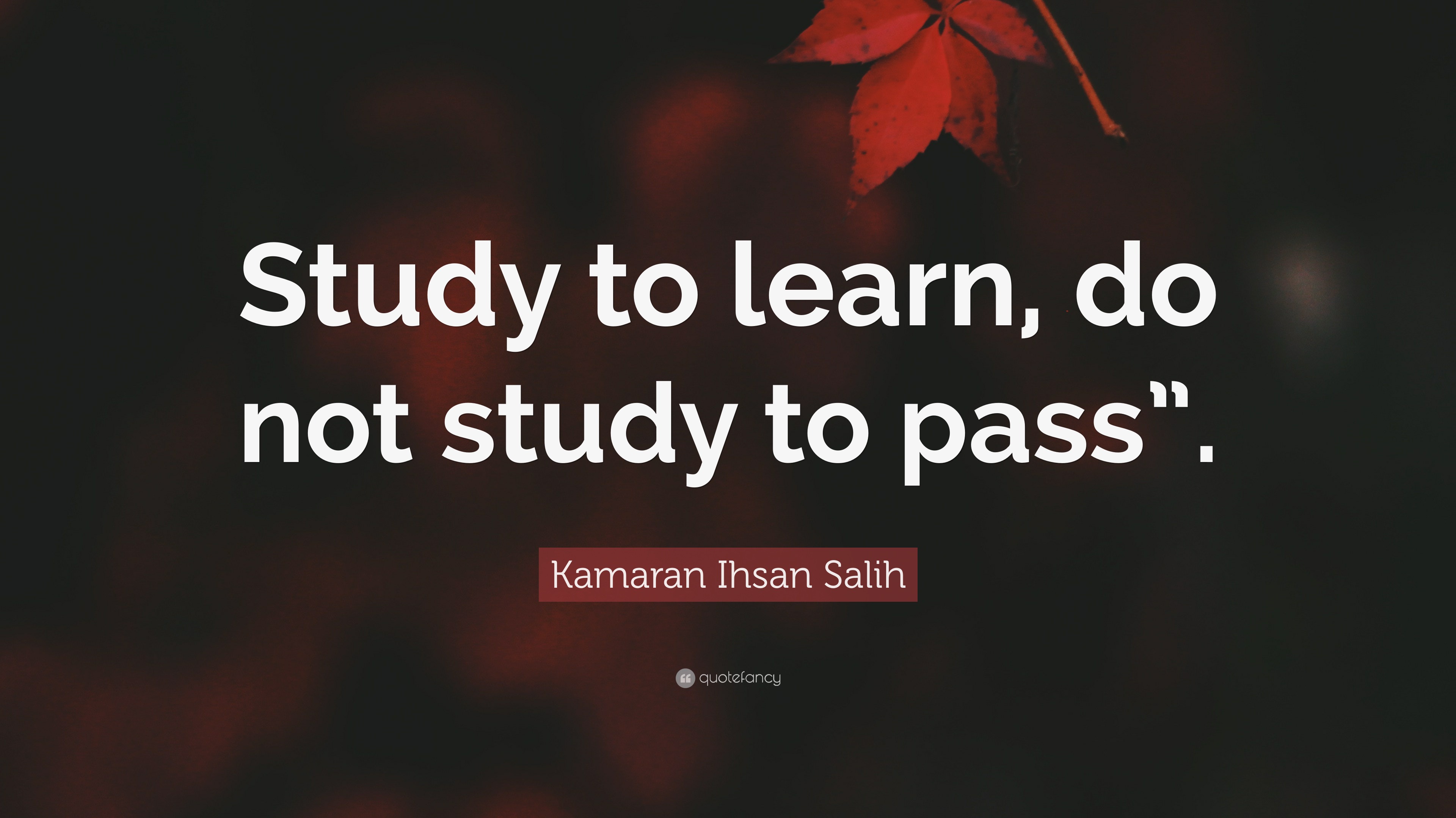Kamaran Ihsan Salih Quote: “Study to learn, do not study to pass”.”