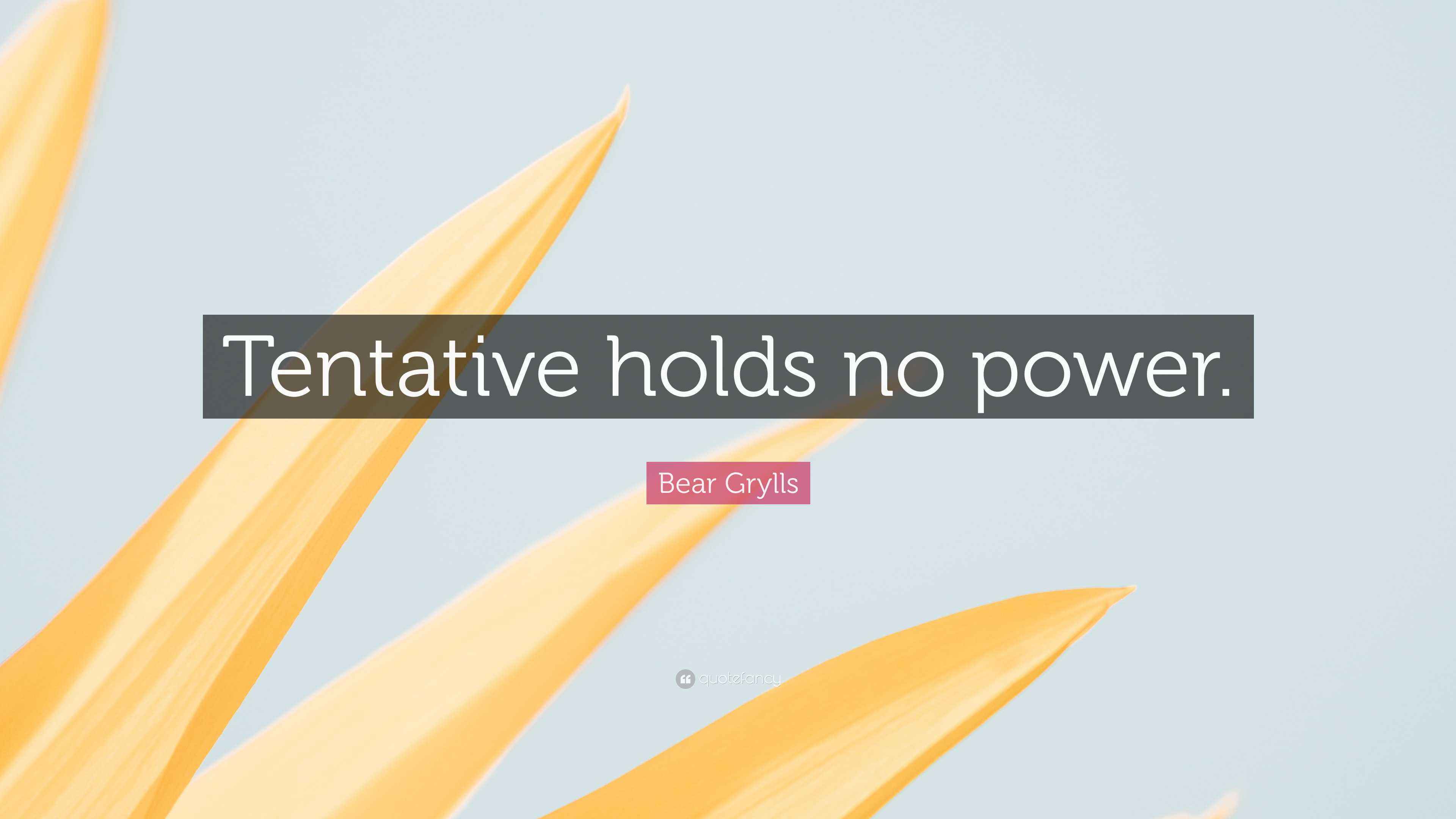 Bear Grylls Quote: “Tentative holds no power.”