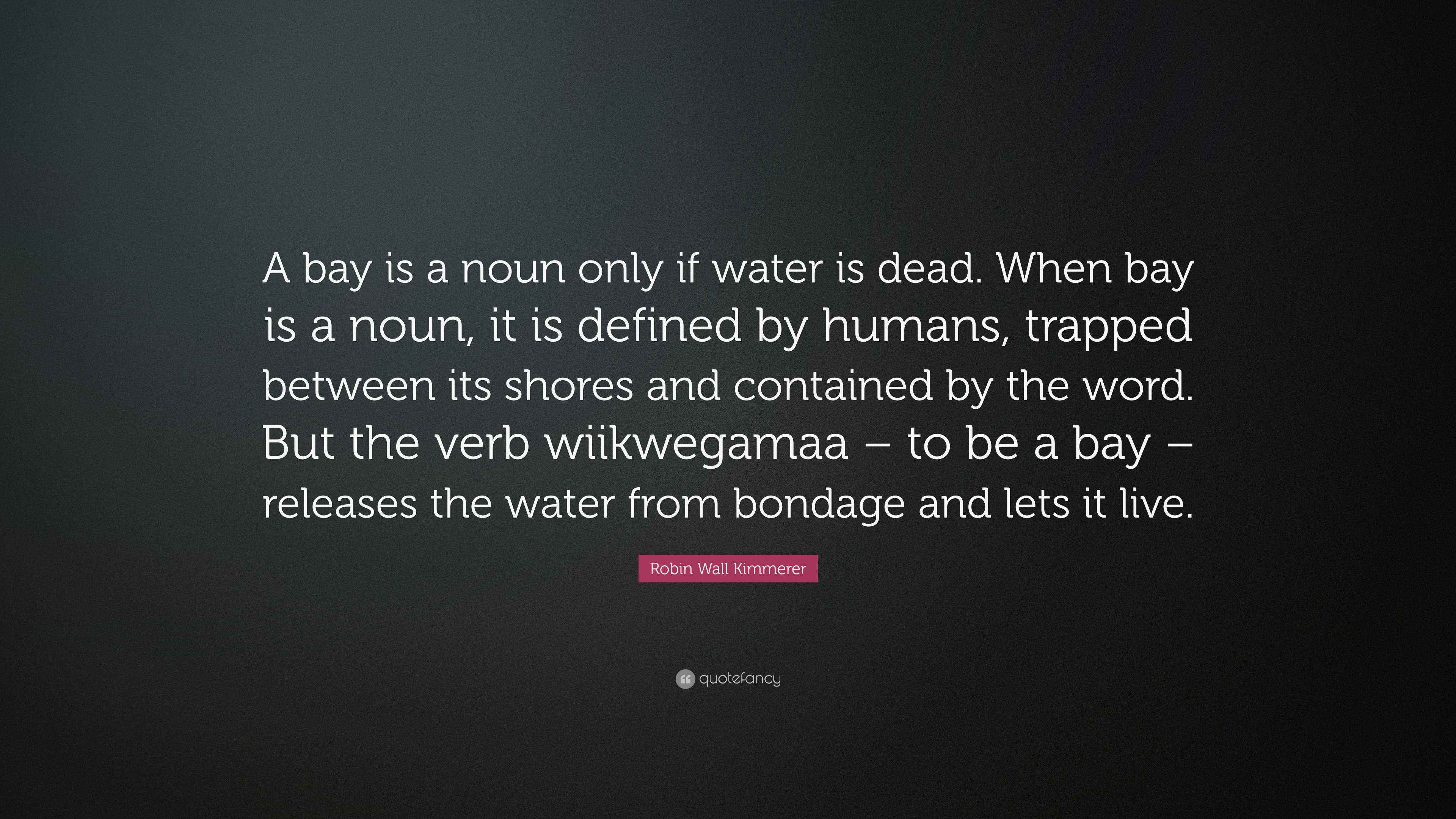 Robin Wall Kimmerer Quote: “A bay is a noun only if water is dead. When ...