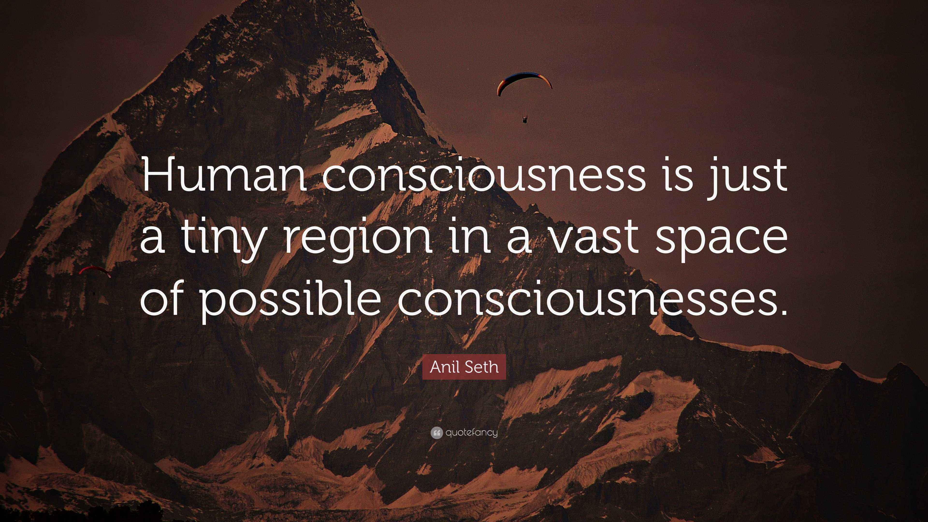 Anil Seth Quote: “Human consciousness is just a tiny region in a vast ...