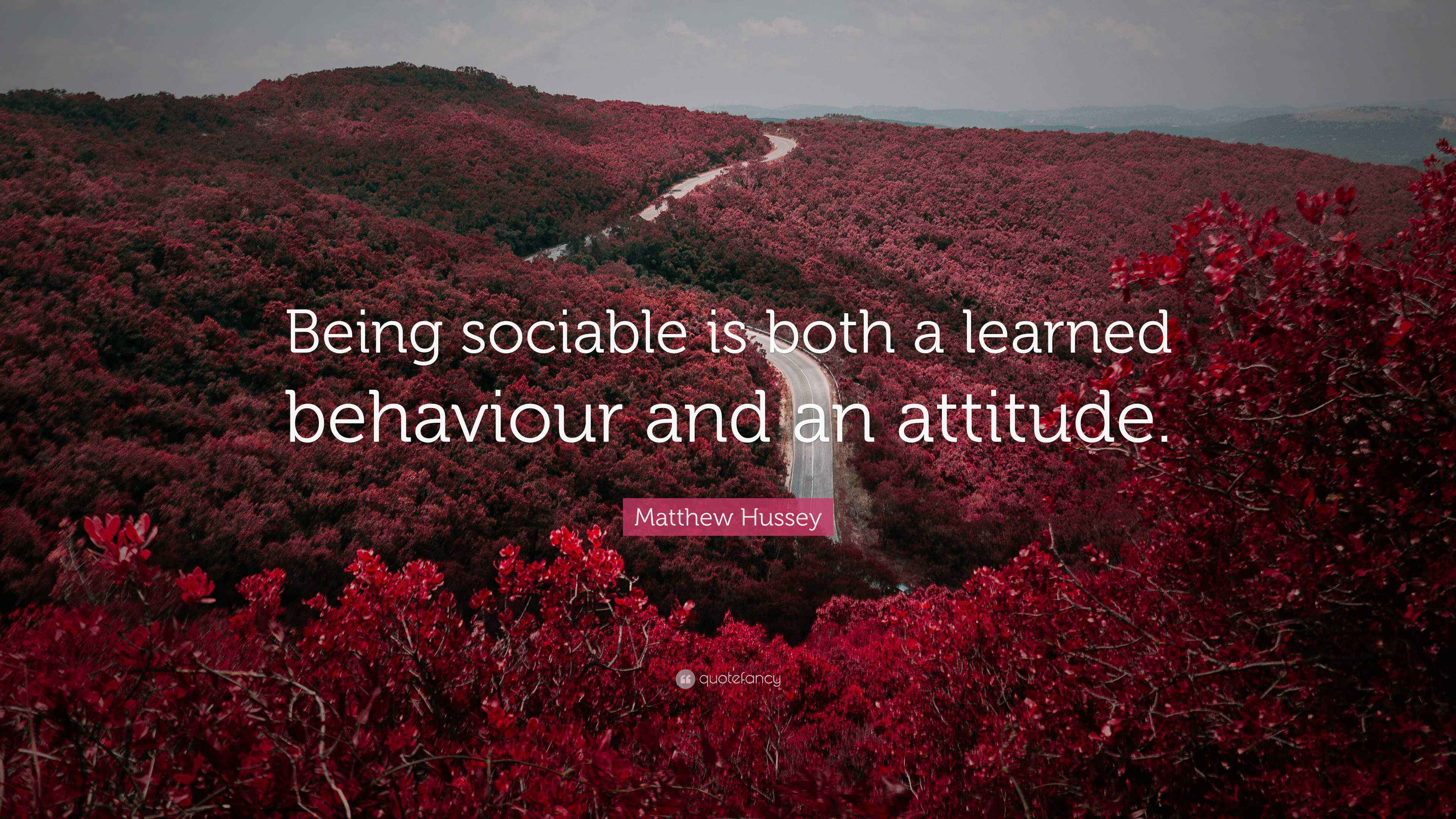Matthew Hussey Quote: “Being sociable is both a learned behaviour and ...