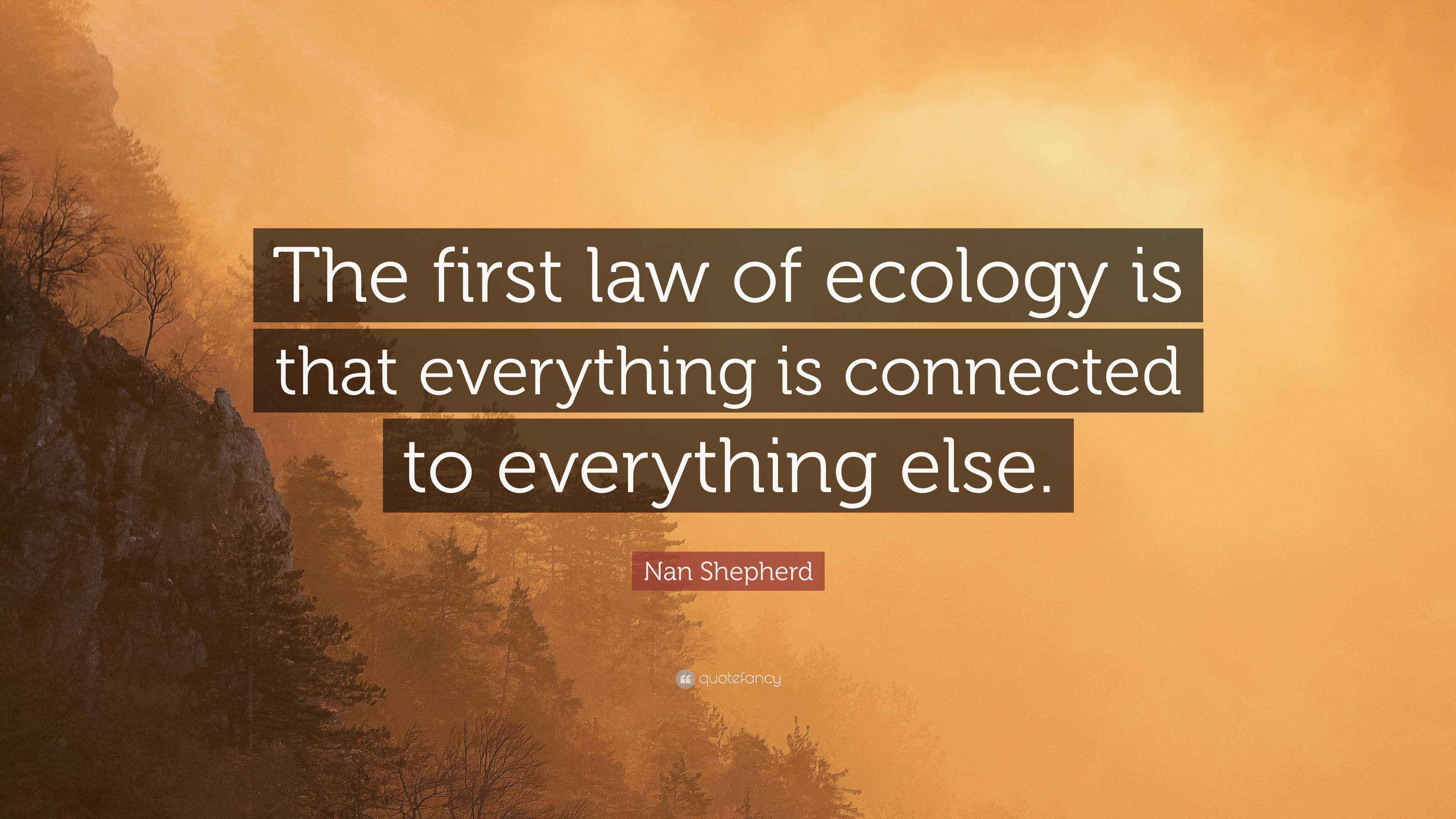 Nan Shepherd Quote: “The first law of ecology is that everything is ...