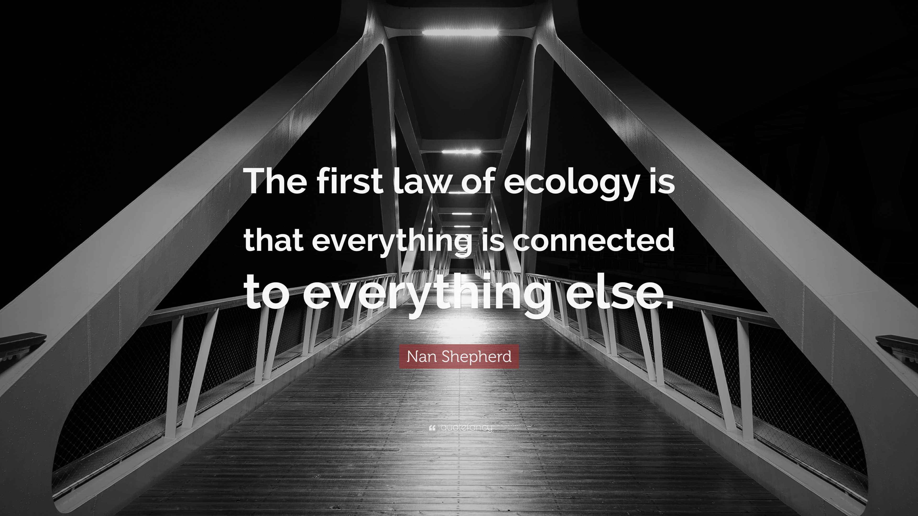 Nan Shepherd Quote: “The first law of ecology is that everything is ...