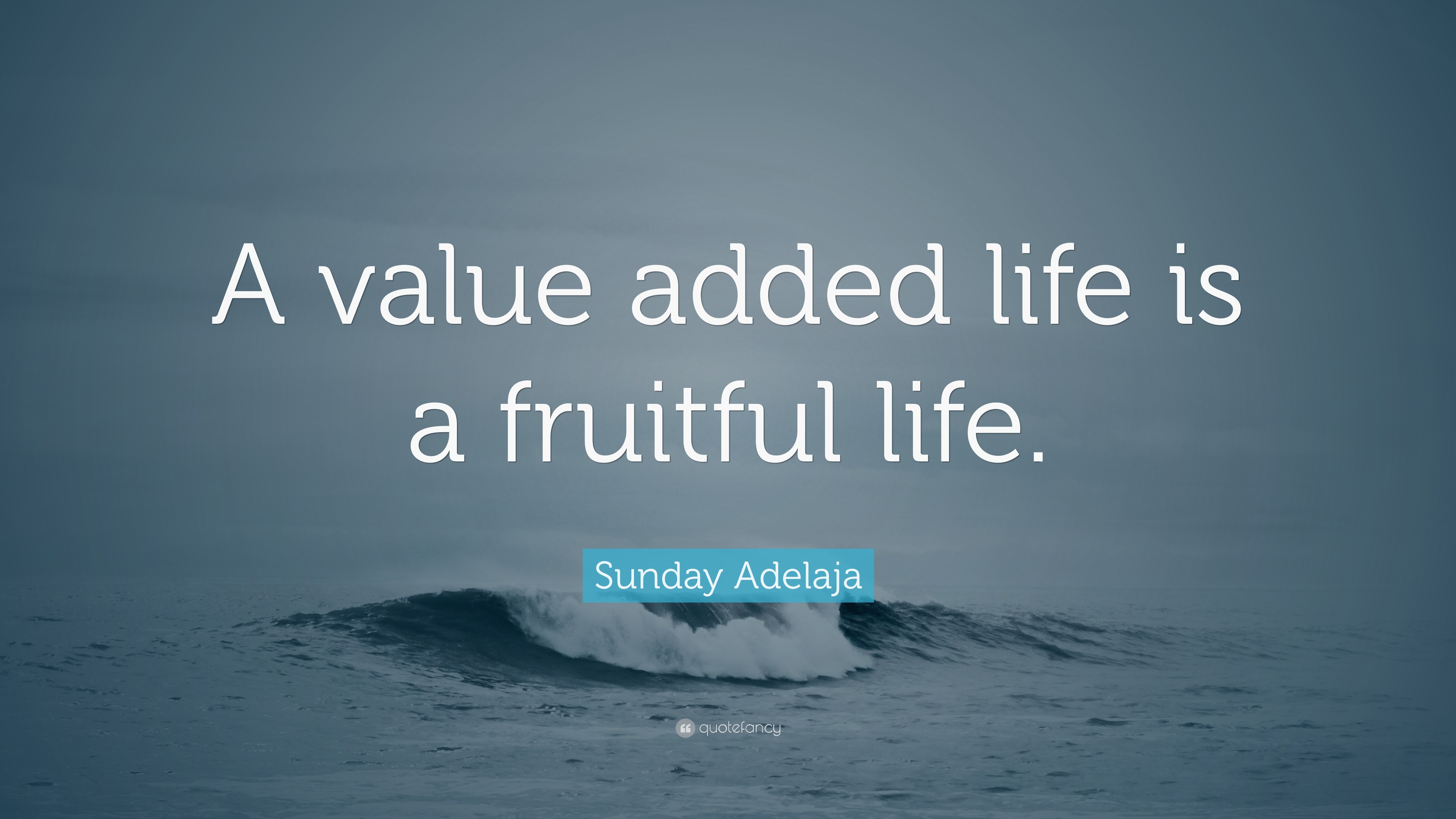 Sunday Adelaja Quote: “A value added life is a fruitful life.”