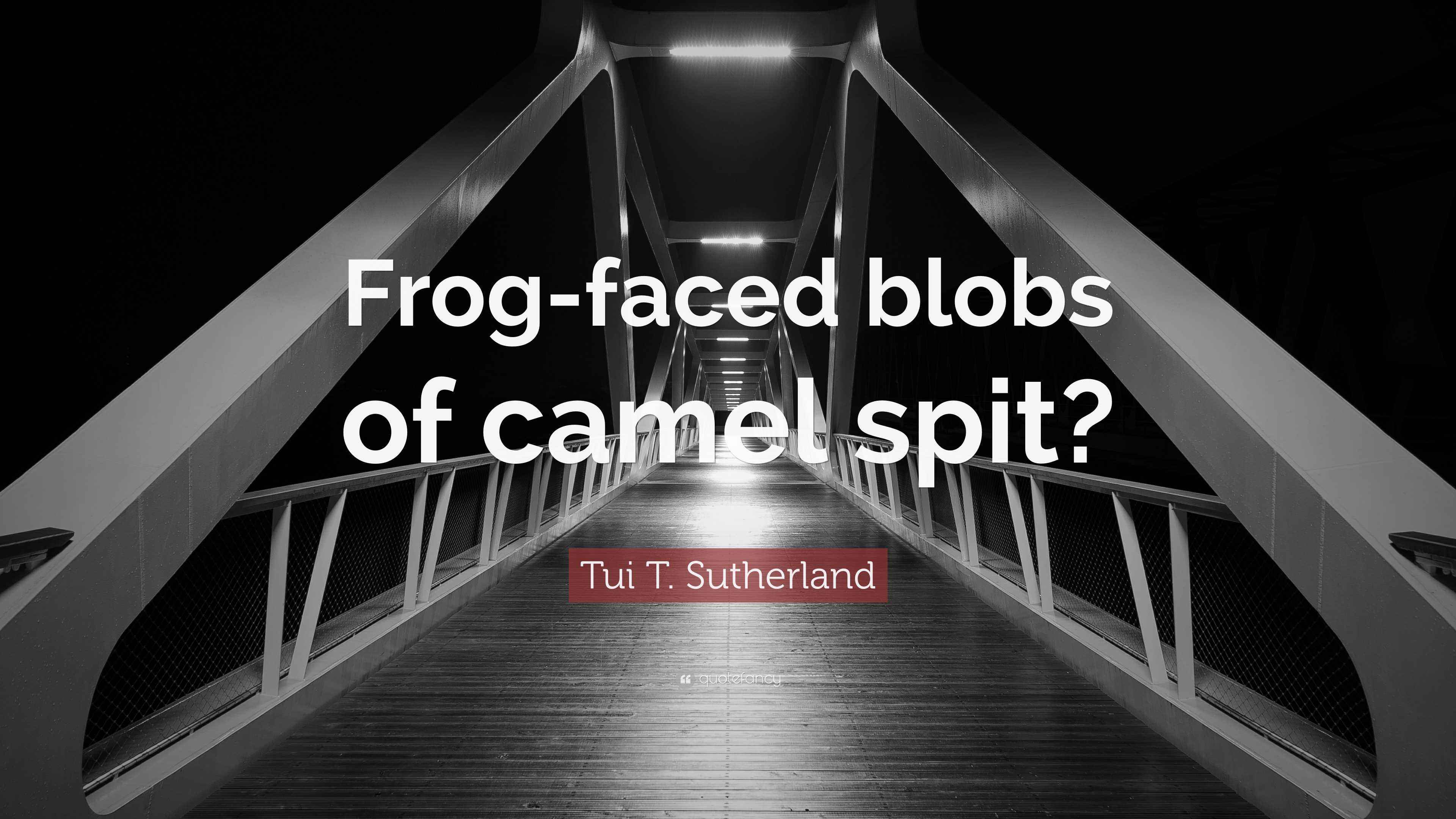 Tui T. Sutherland Quote: “Frog-faced blobs of camel spit?”