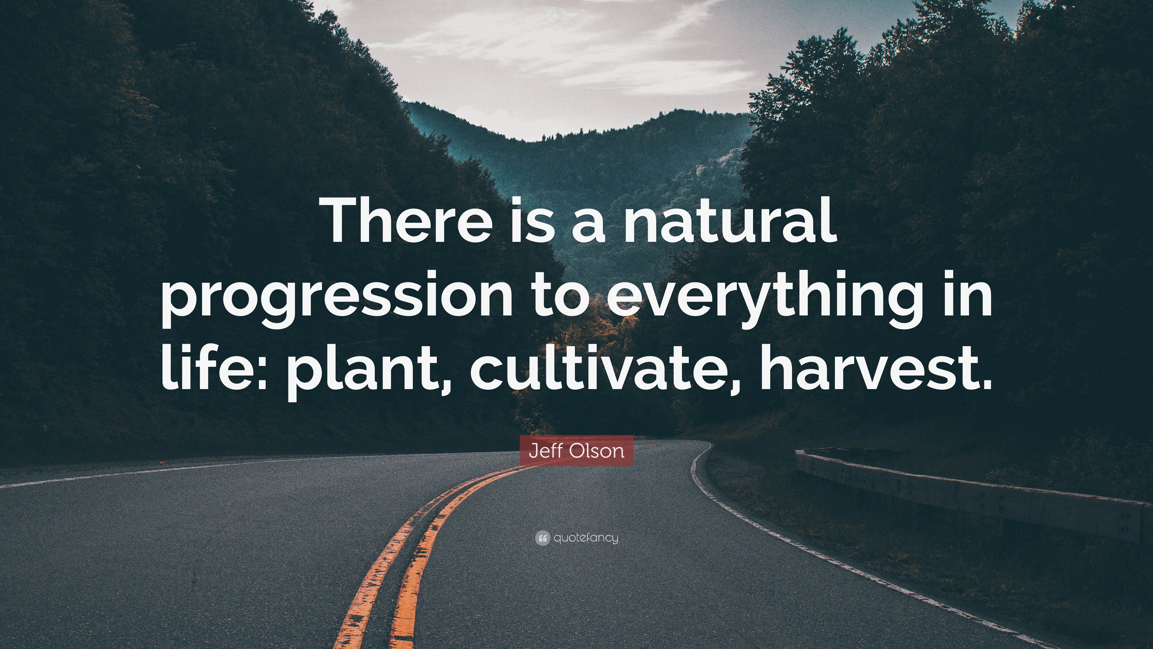 Jeff Olson Quote: “There is a natural progression to everything in life ...