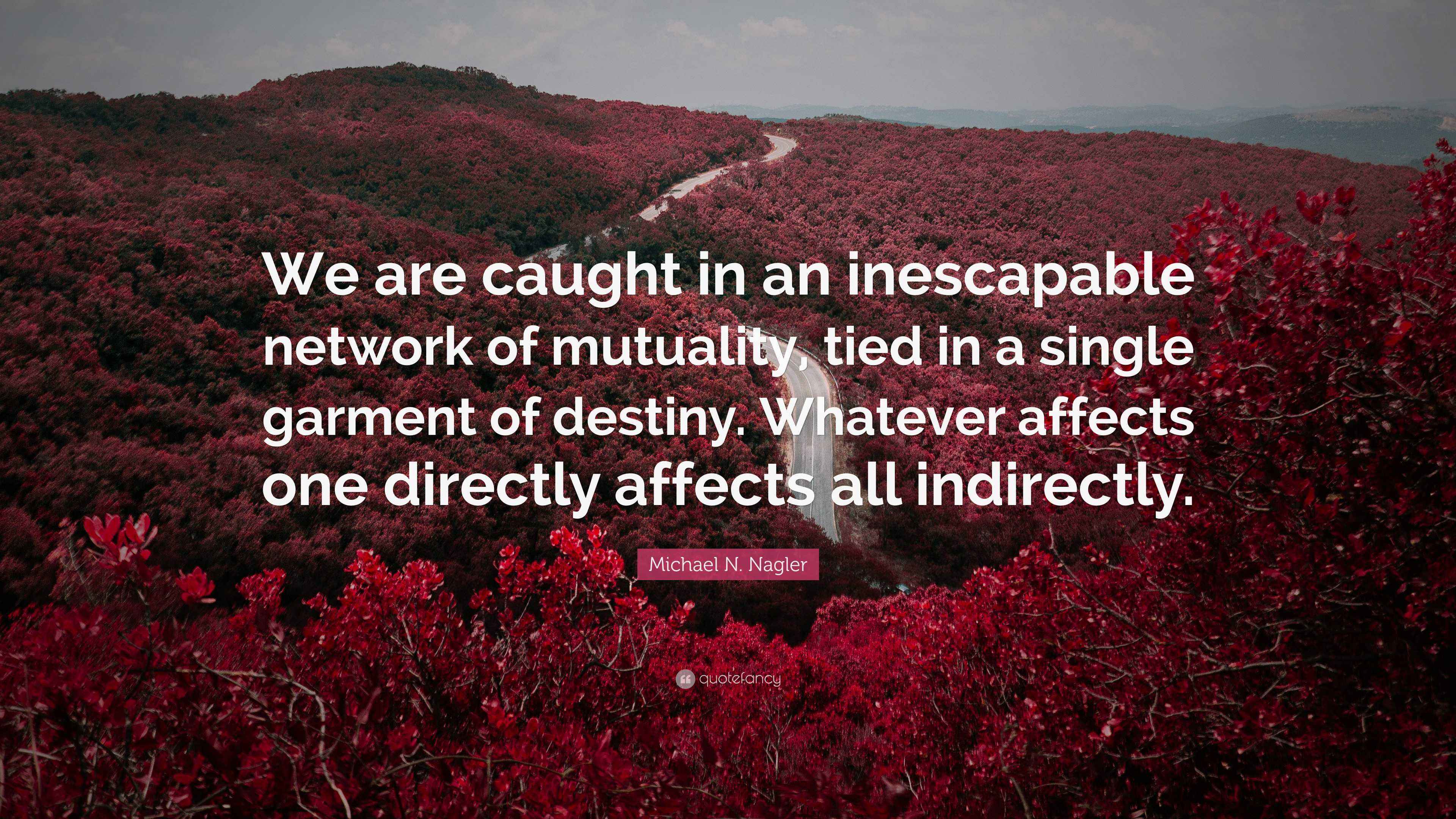 Michael N. Nagler Quote: “We are caught in an inescapable network of ...