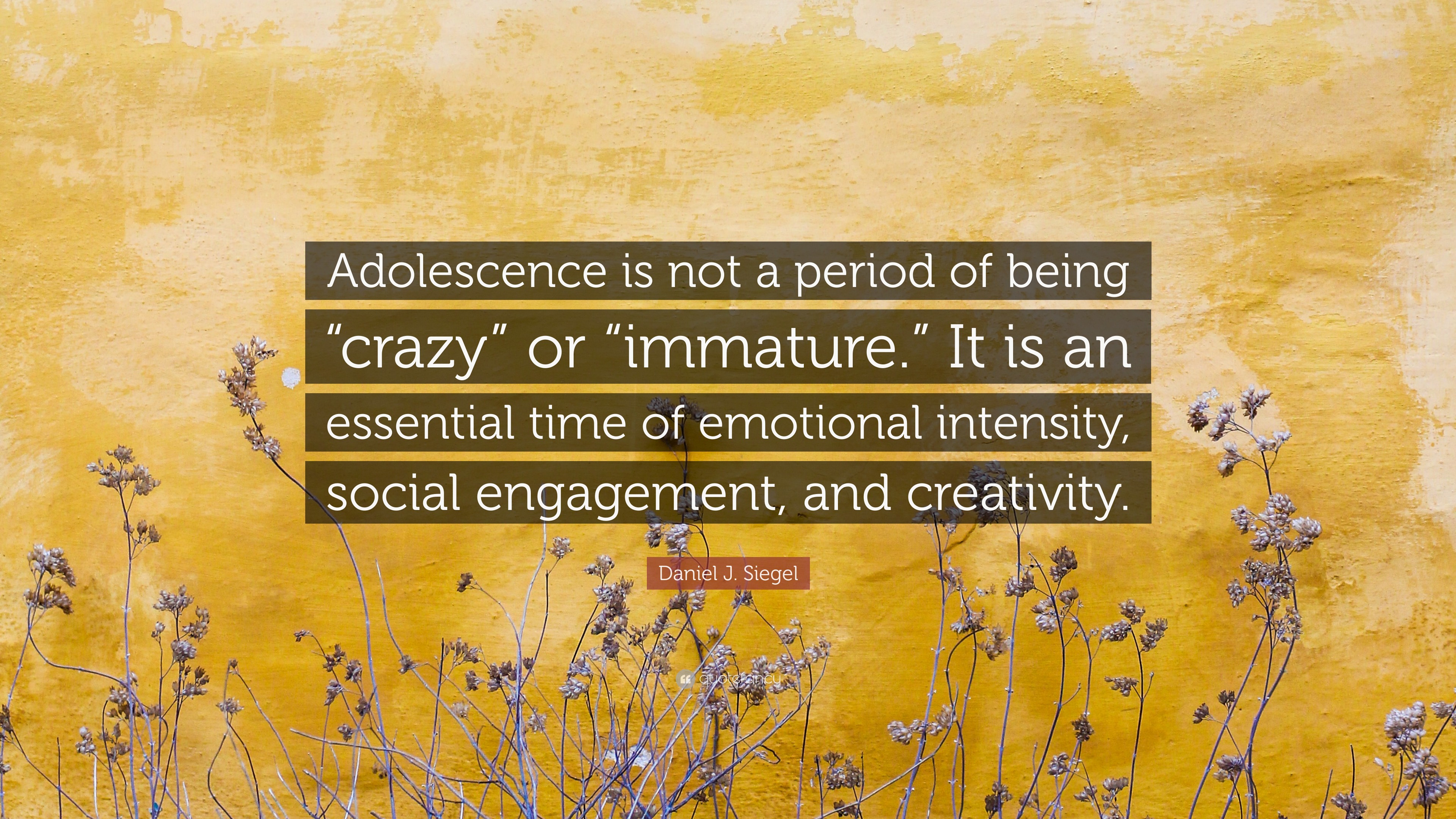 Daniel J. Siegel Quote: “Adolescence is not a period of being “crazy ...