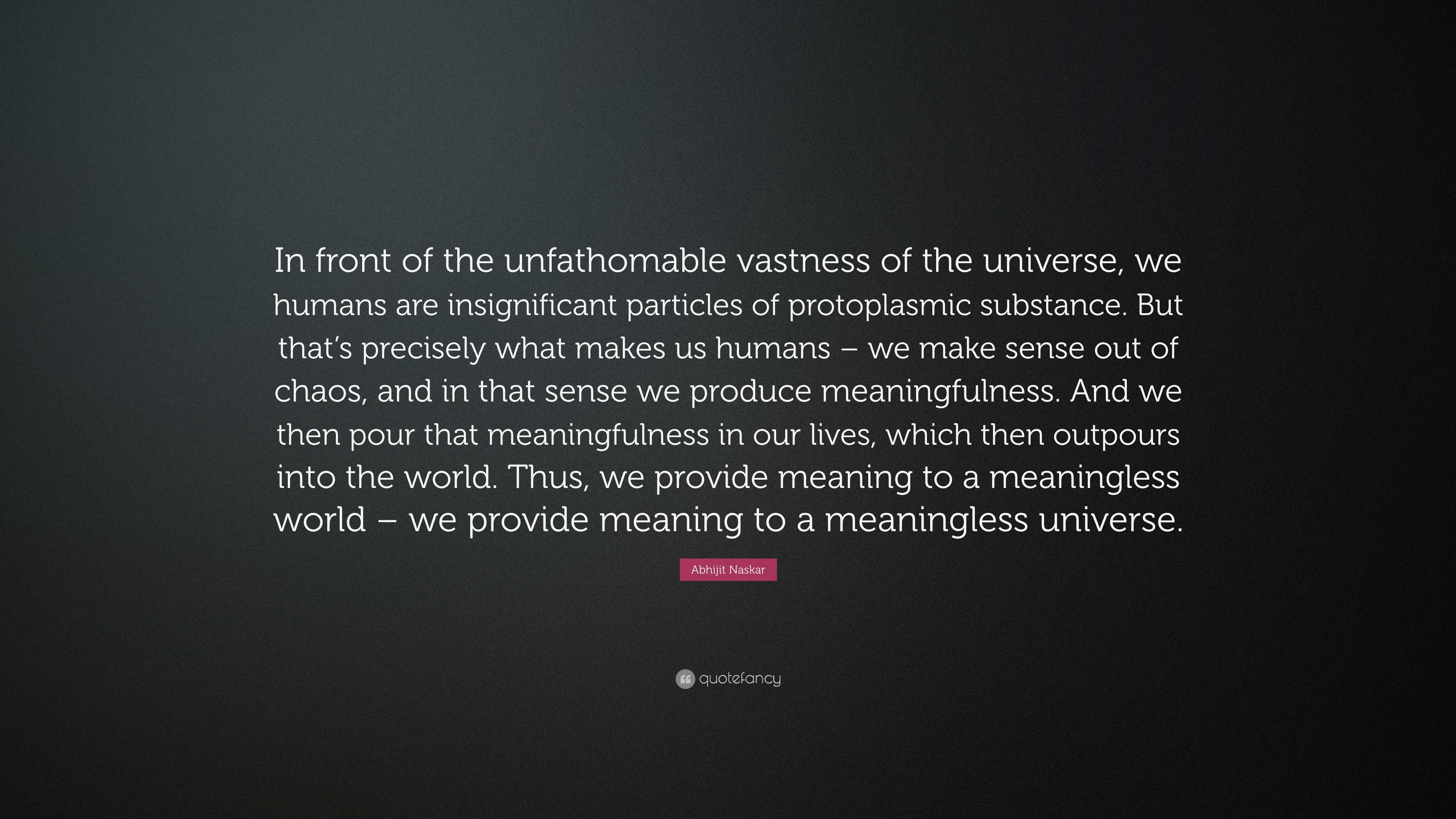 Abhijit Naskar Quote: “In front of the unfathomable vastness of the ...