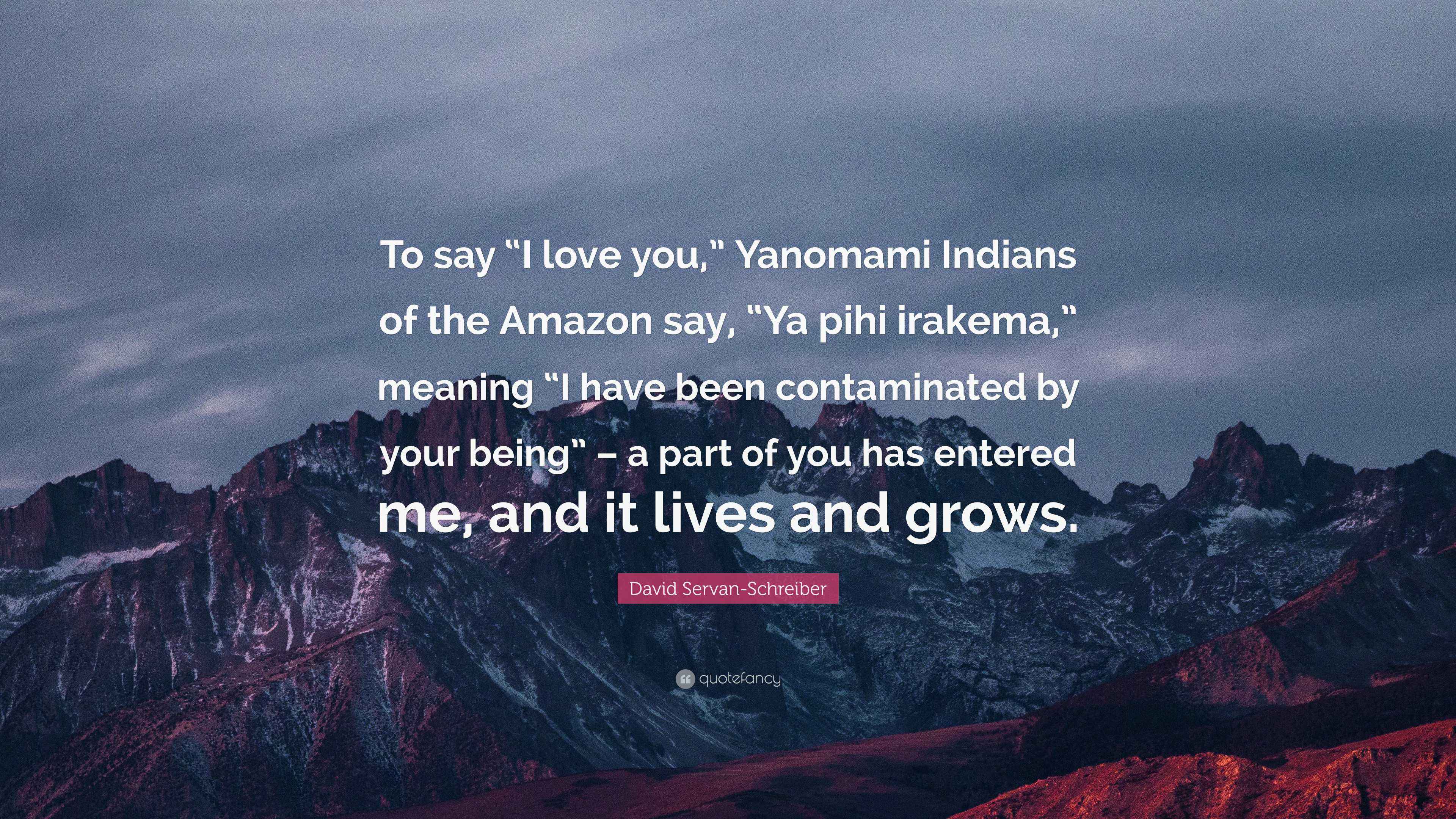 David Servan-Schreiber Quote: “To say “I love you,” Yanomami Indians of ...