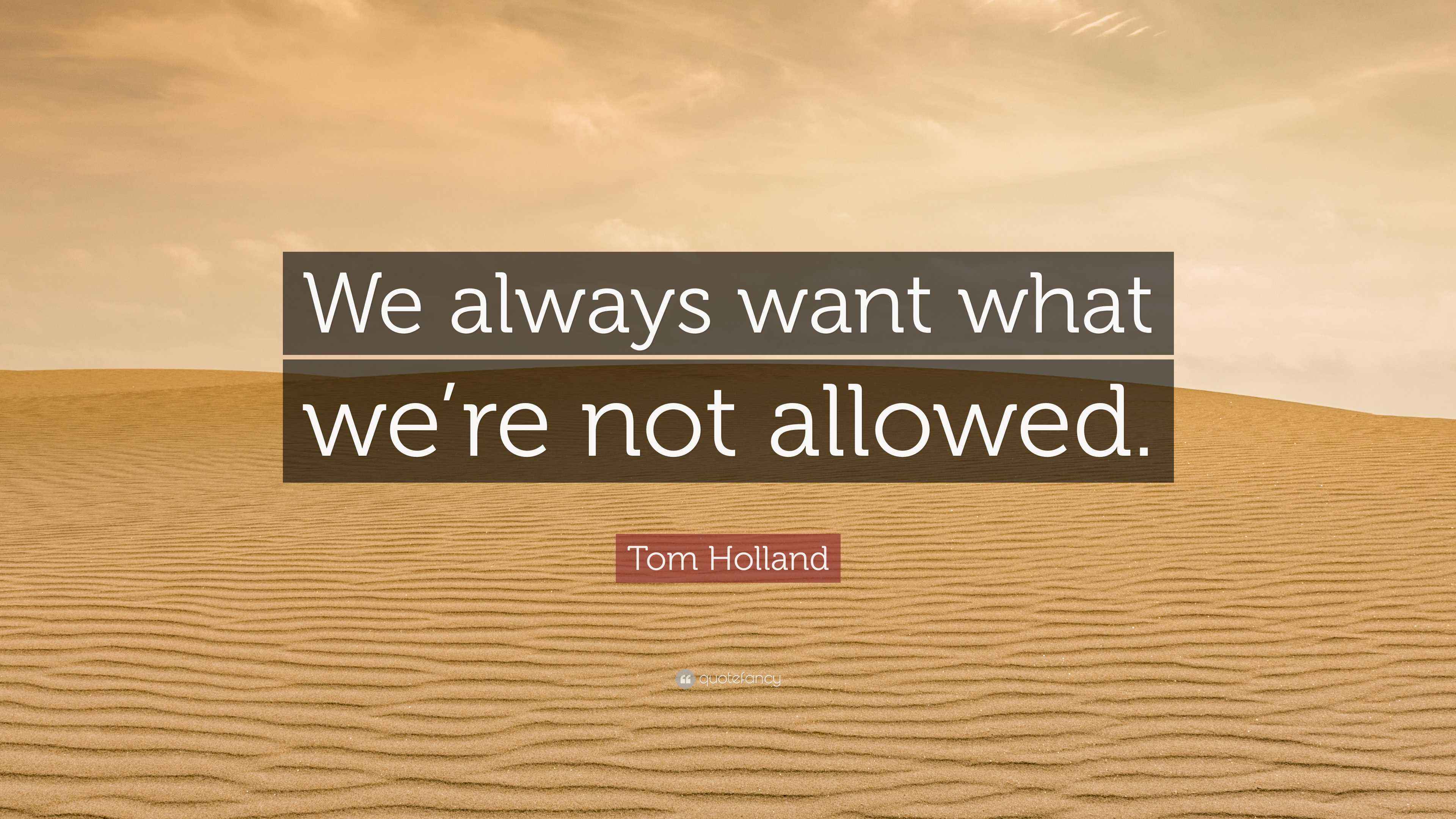 Tom Holland Quote: “We always want what we’re not allowed.”