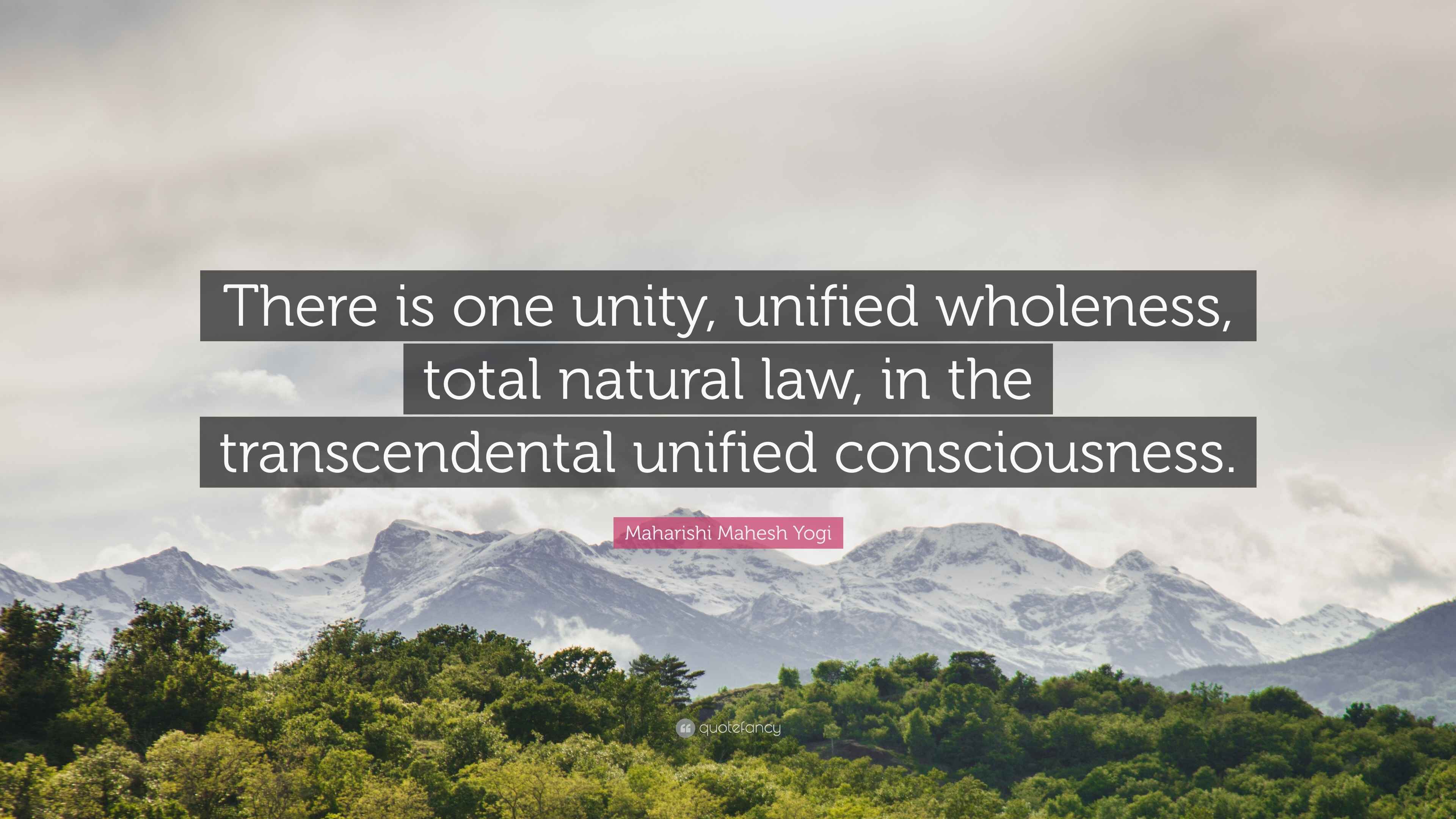 Maharishi Mahesh Yogi Quote: “There is one unity, unified wholeness ...