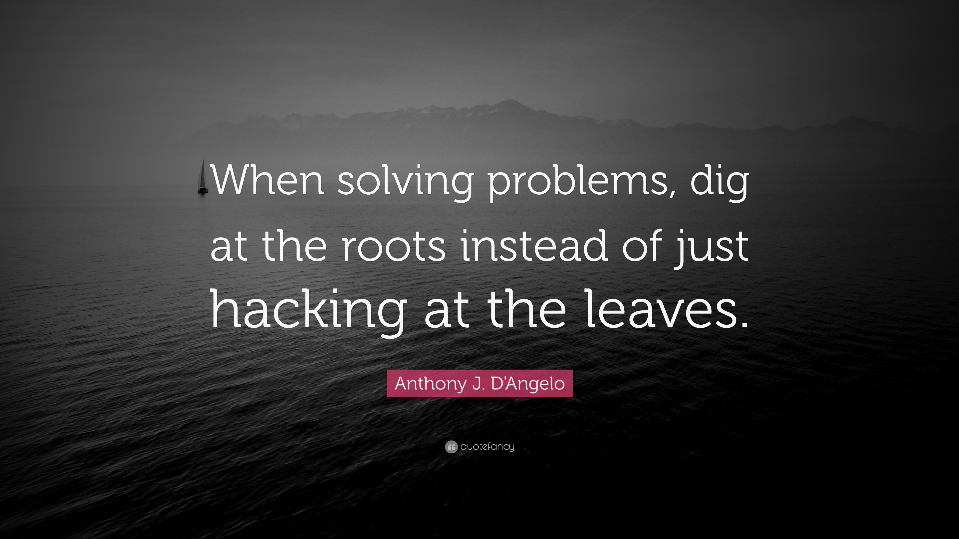 Anthony J. D'Angelo Quote: “When solving problems, dig at the roots ...
