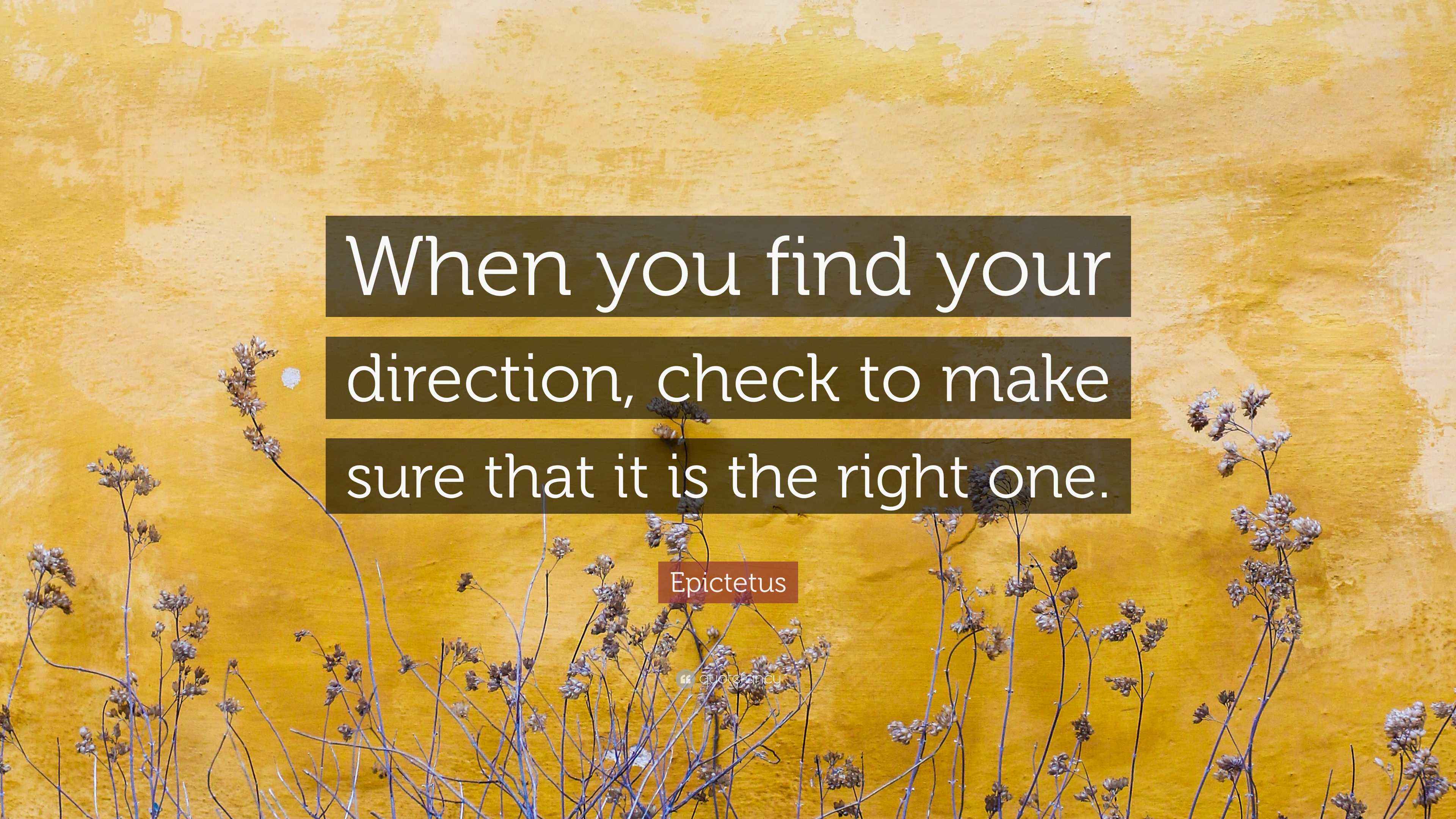 Epictetus Quote: “When you find your direction, check to make sure that ...