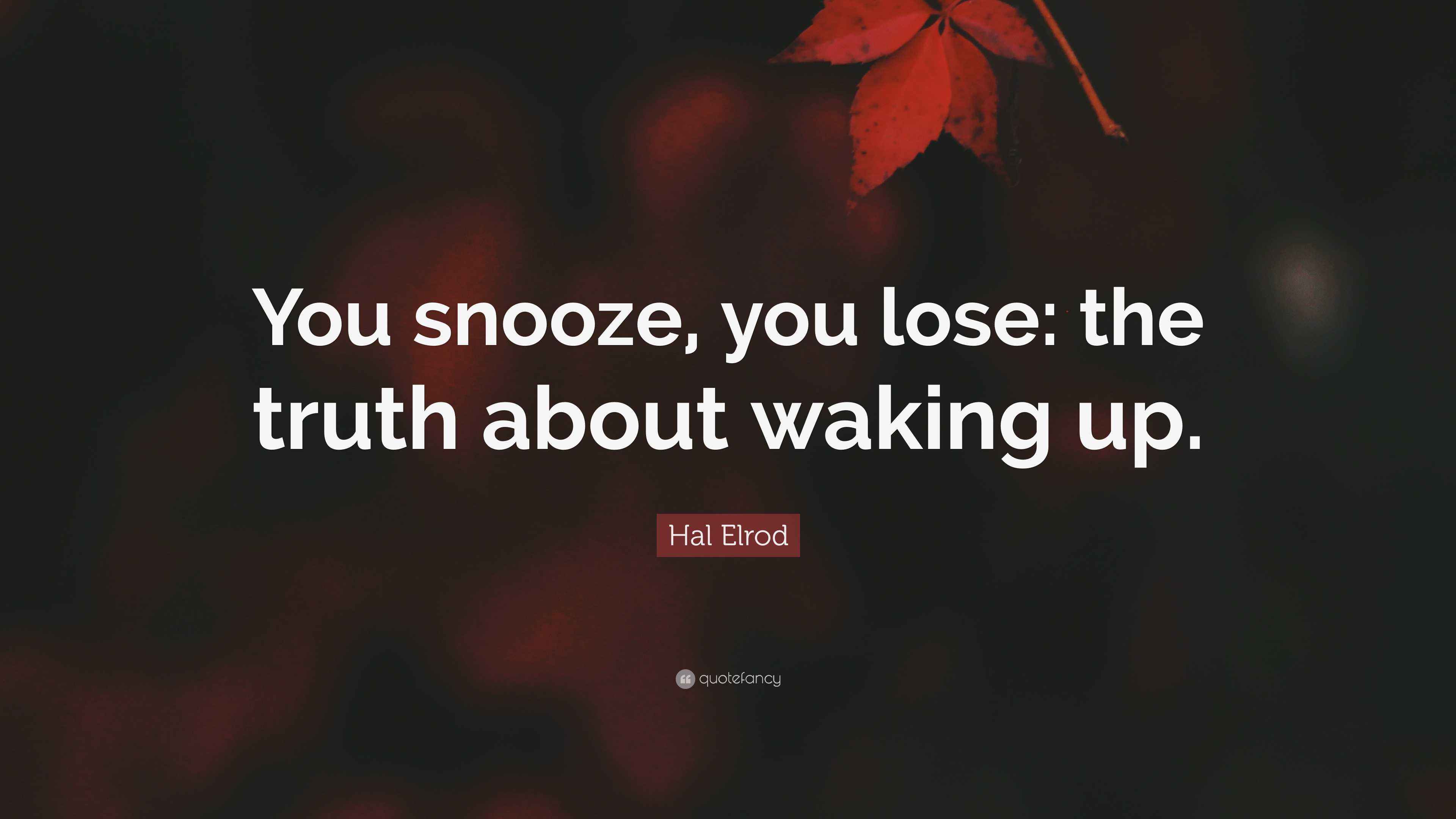 Hal Elrod Quote: “You snooze, you lose: the truth about waking up.”