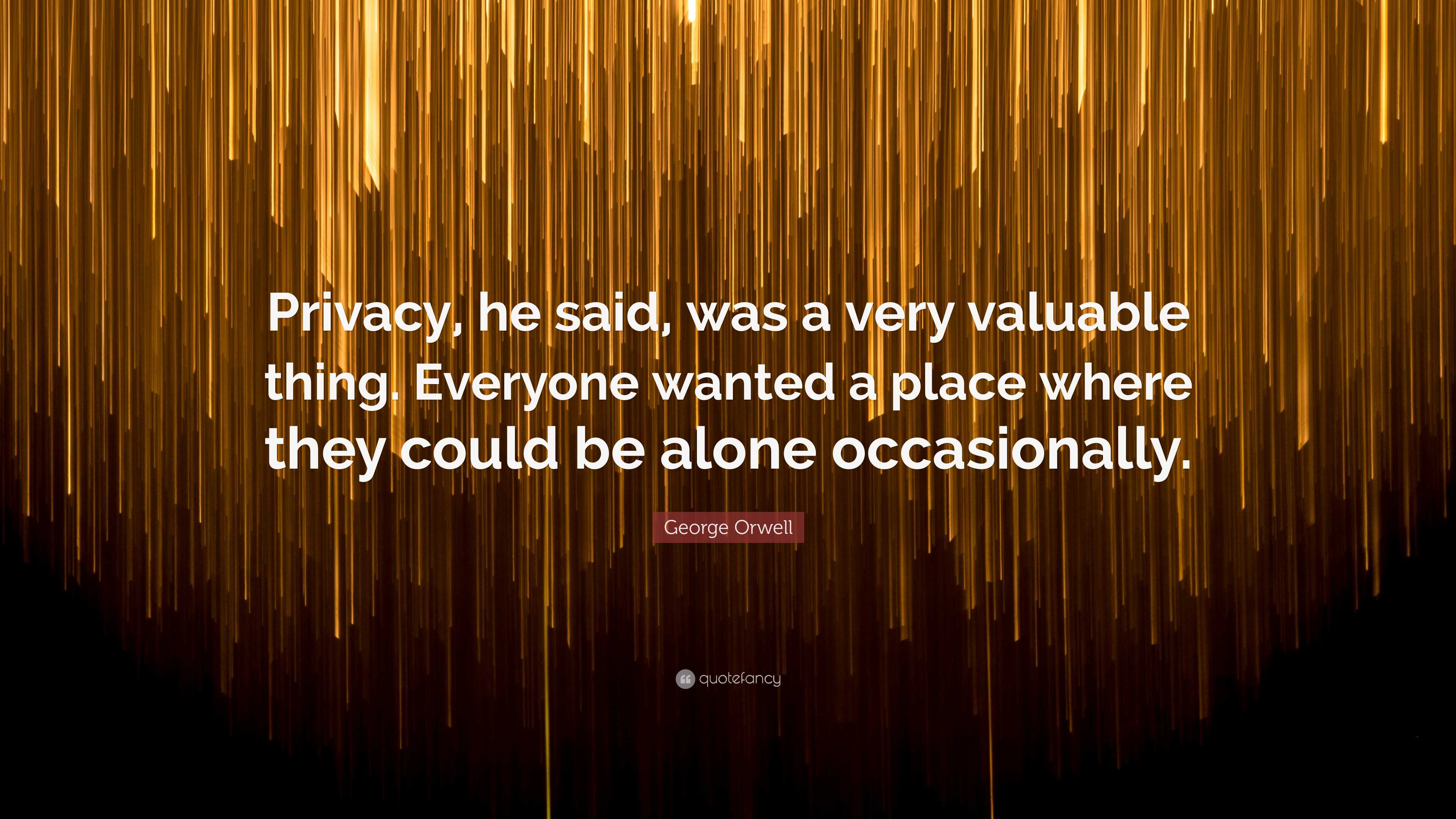 George Orwell Quote: “Privacy, he said, was a very valuable thing ...