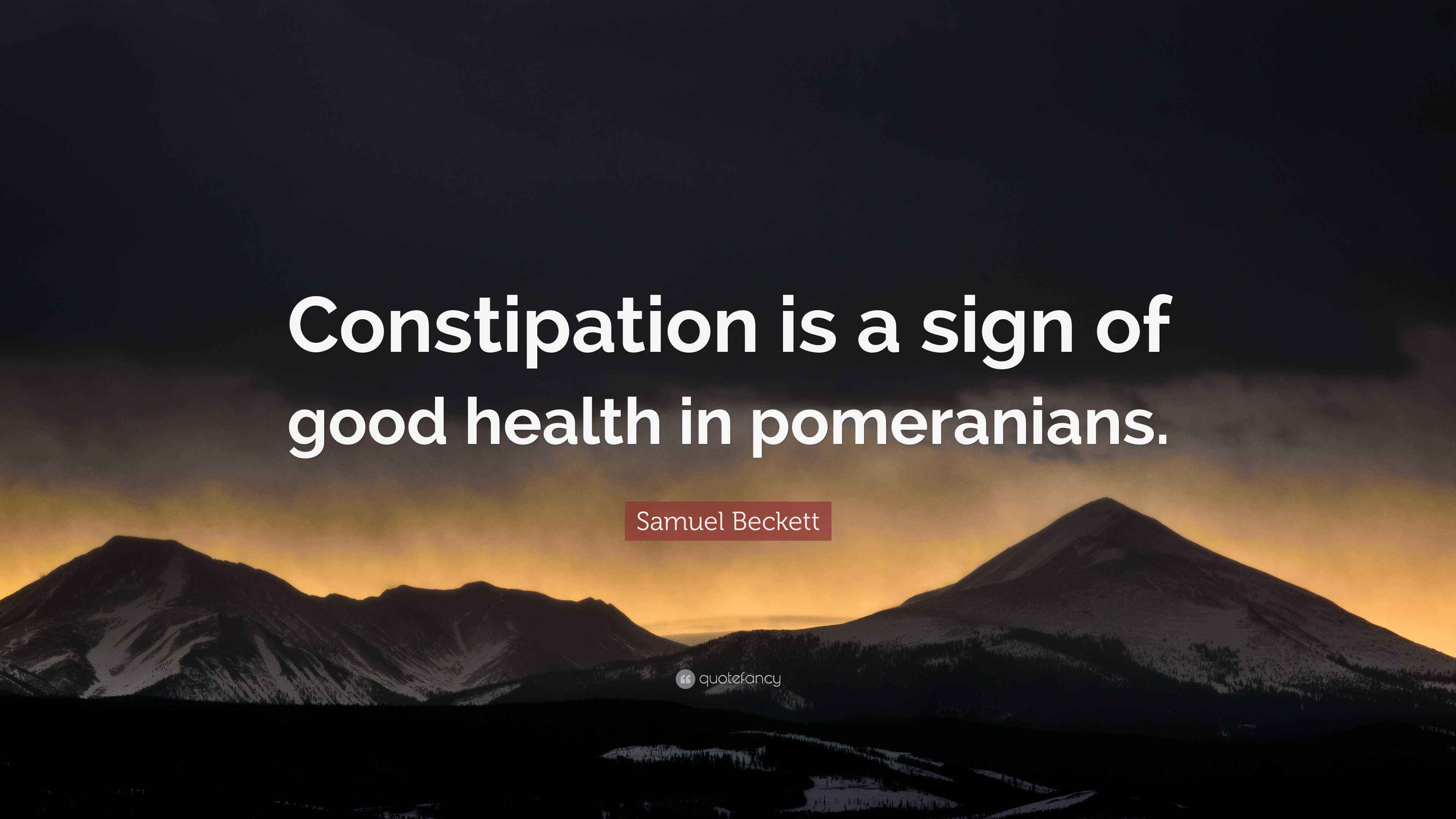 Samuel Beckett Quote: “Constipation is a sign of good health in ...