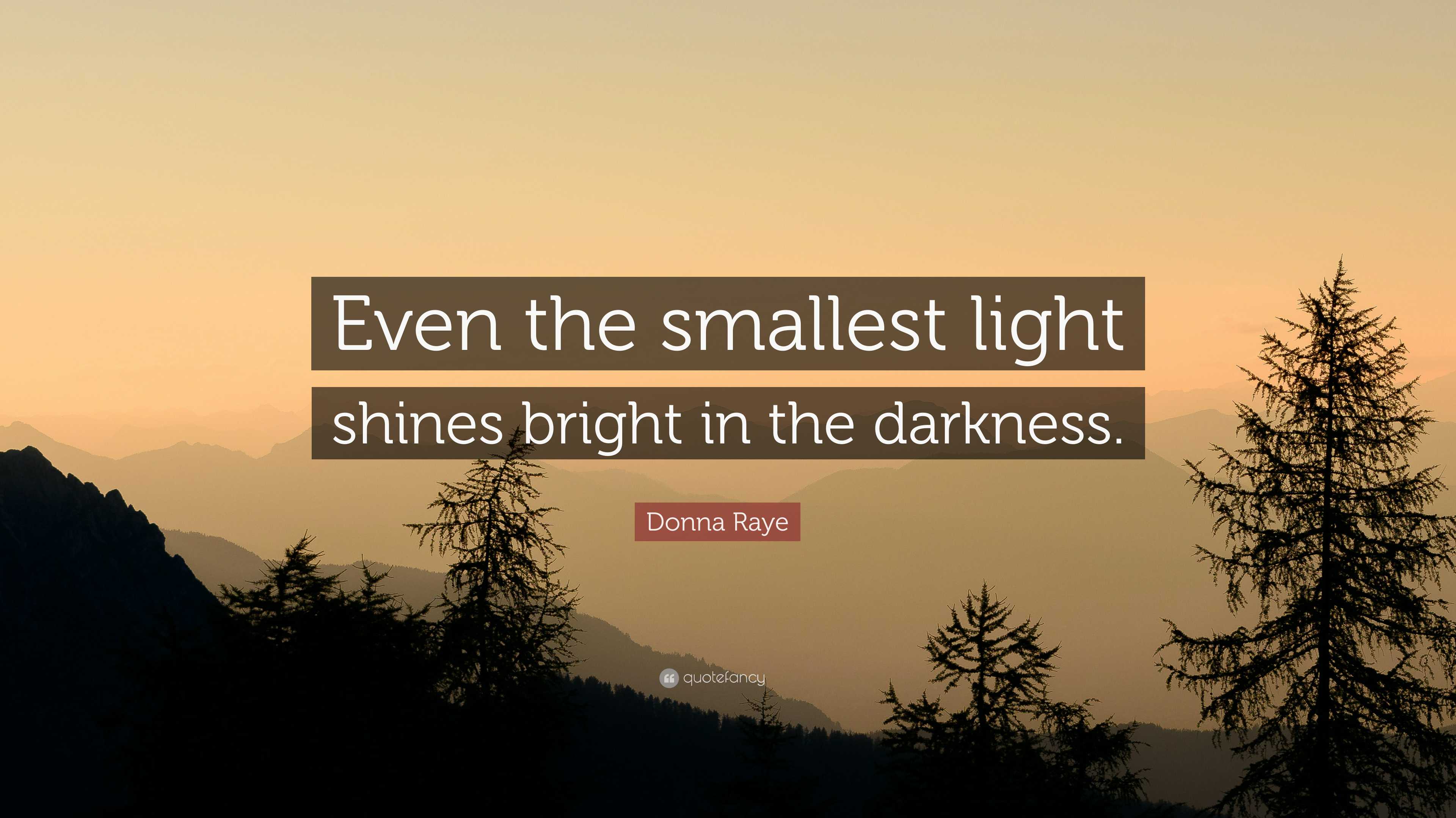 Donna Raye Quote: “Even the smallest light shines bright in the darkness.”