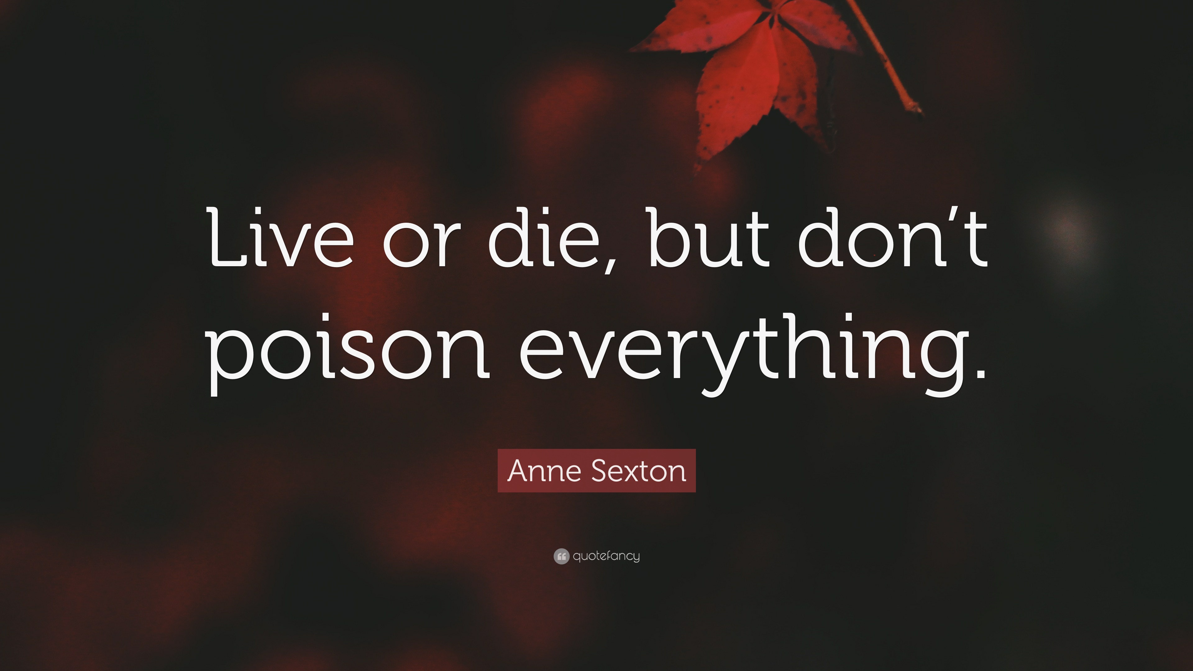 Anne Sexton Quote: “Live or die, but don’t poison everything.”