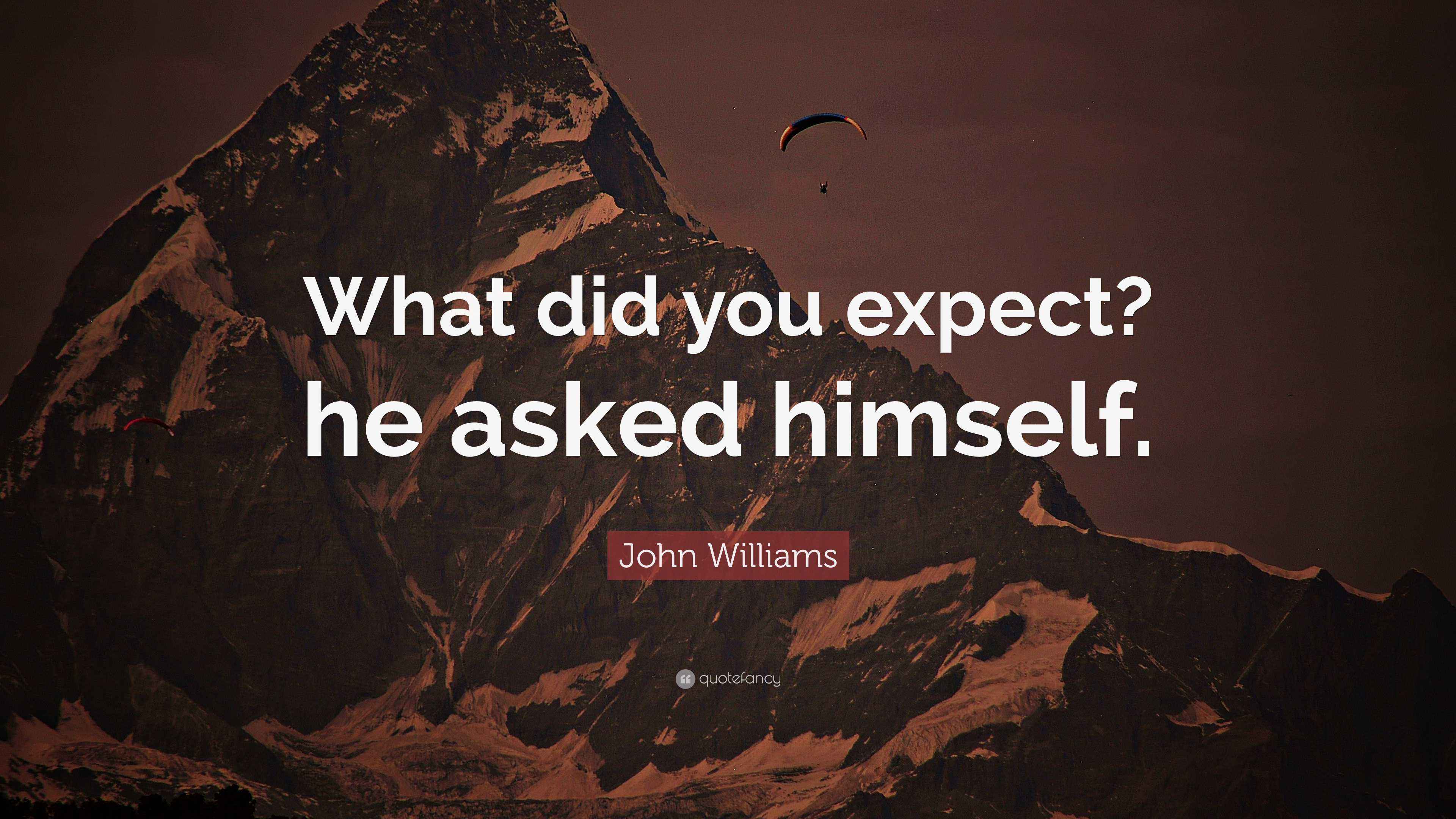 John Williams Quote: “What did you expect? he asked himself.”