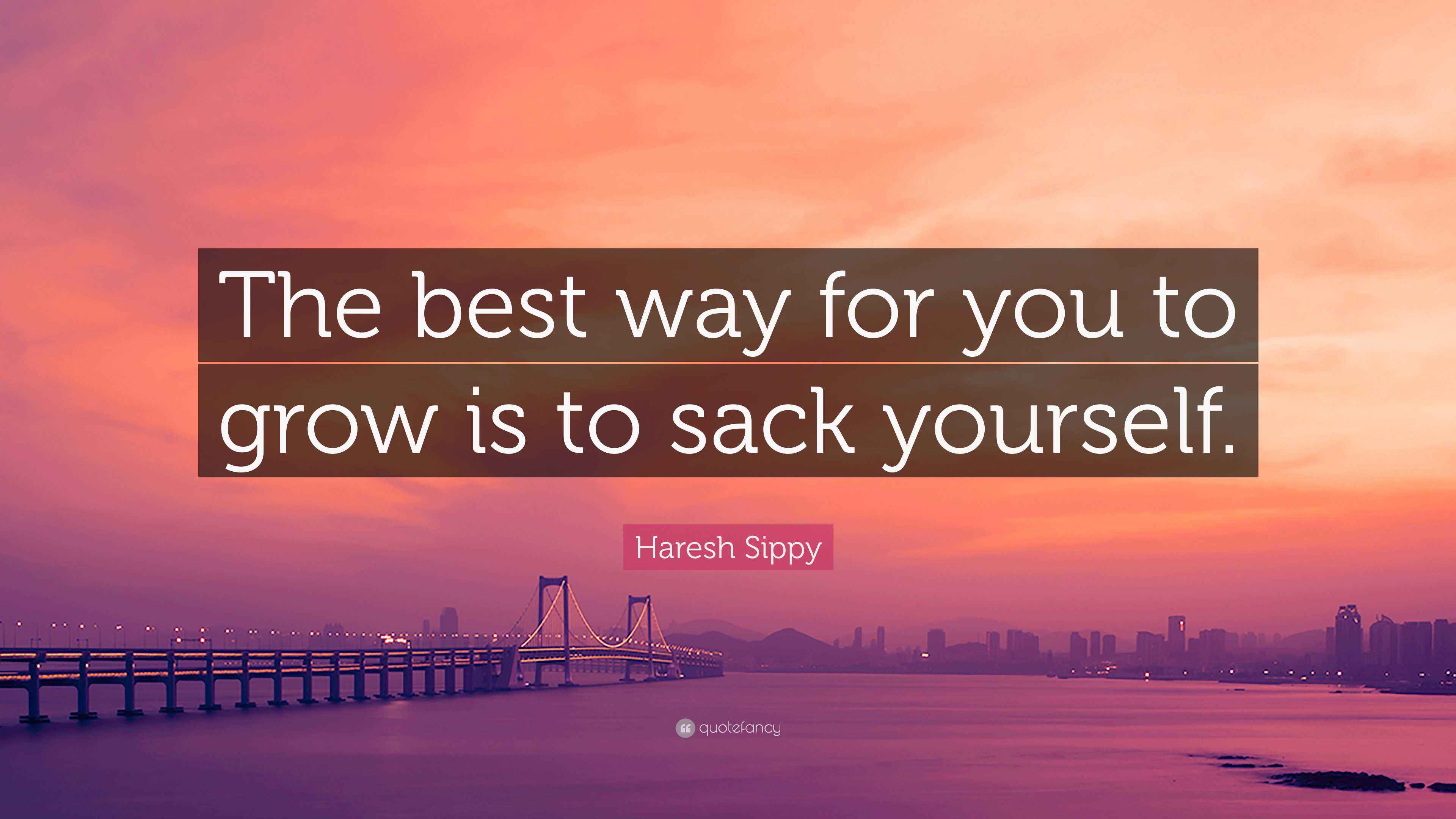 Haresh Sippy Quote: “The best way for you to grow is to sack yourself.”