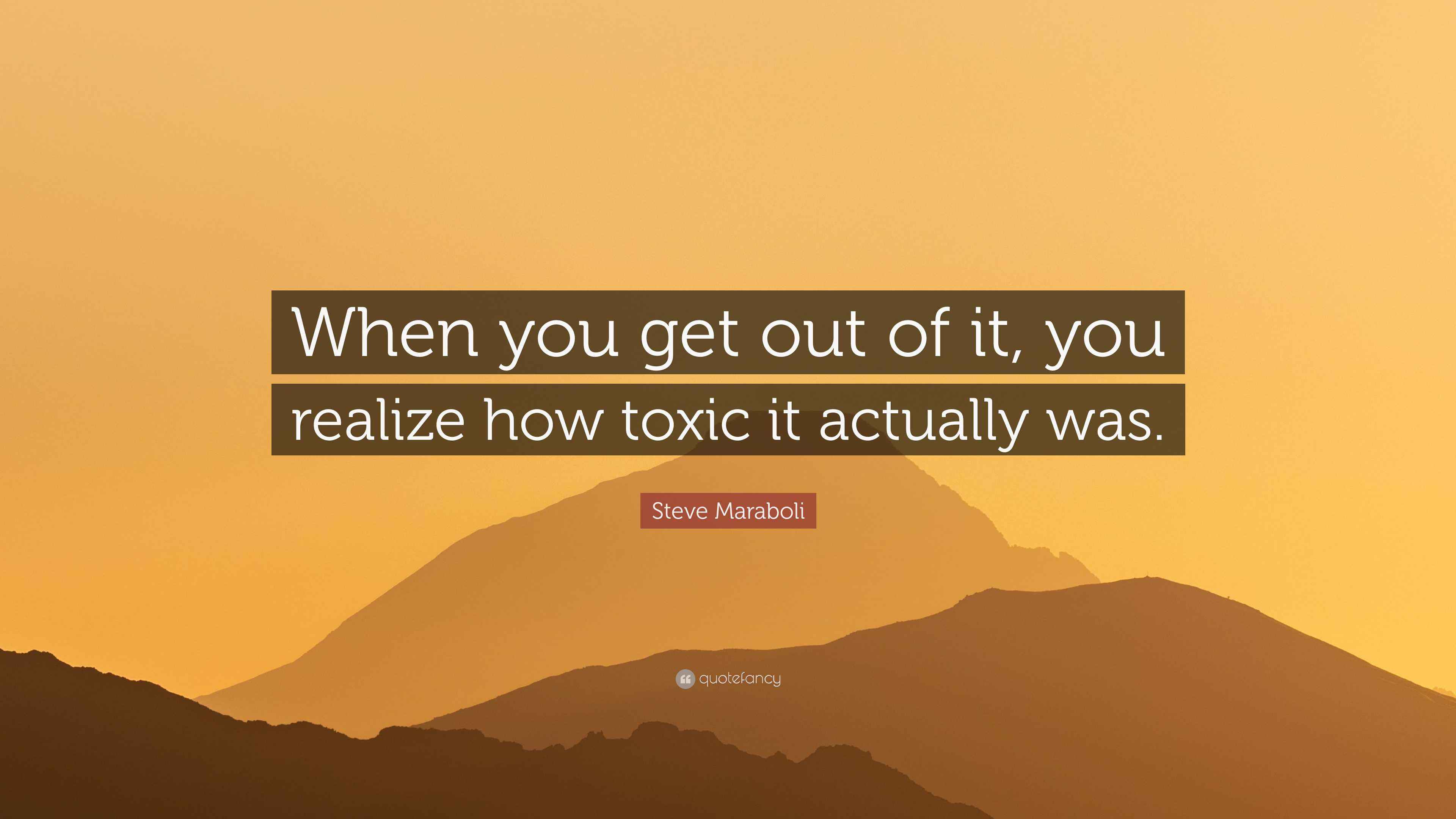 Steve Maraboli Quote: “When you get out of it, you realize how toxic it ...