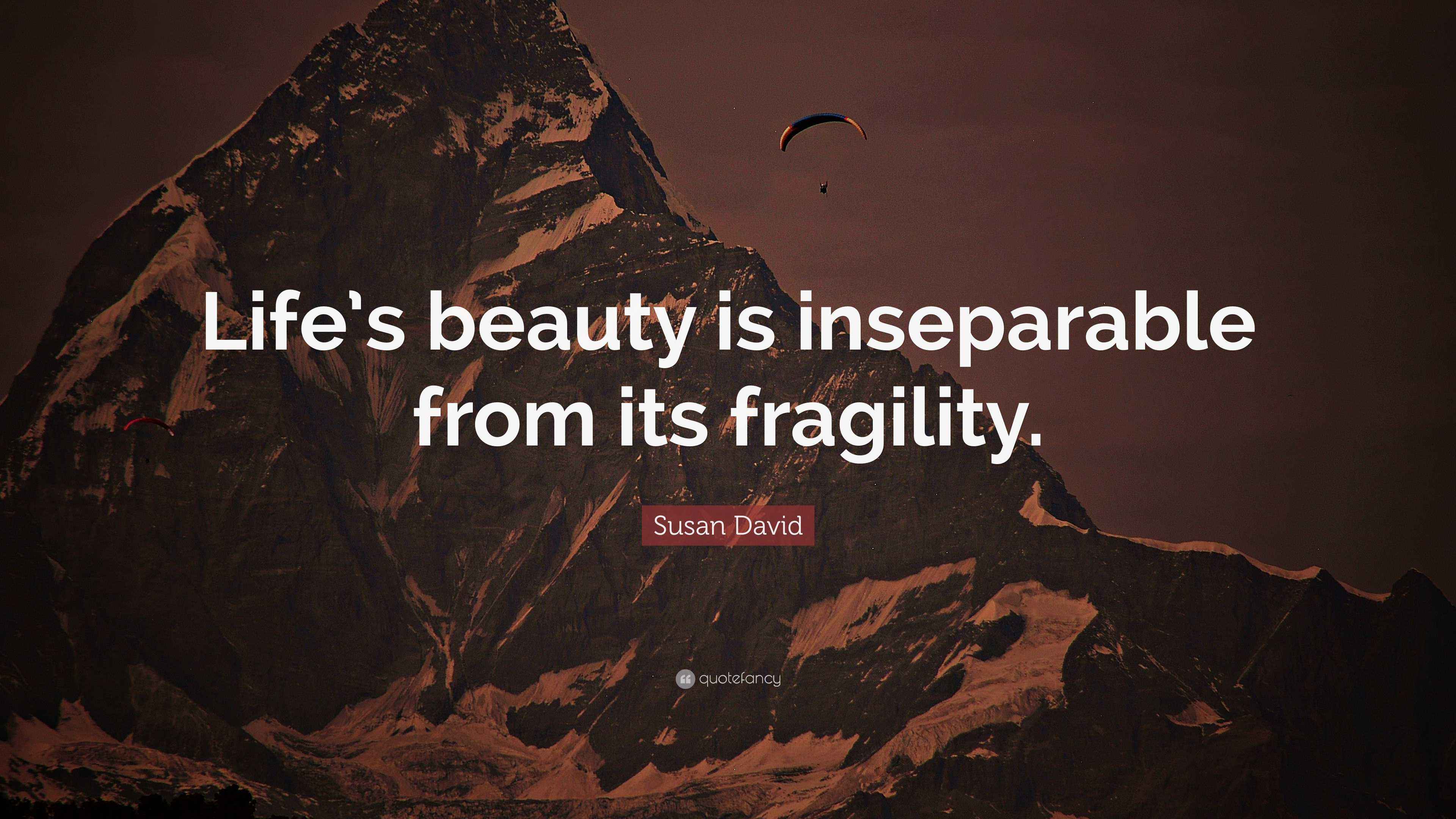 Susan David Quote: “Life’s beauty is inseparable from its fragility.”