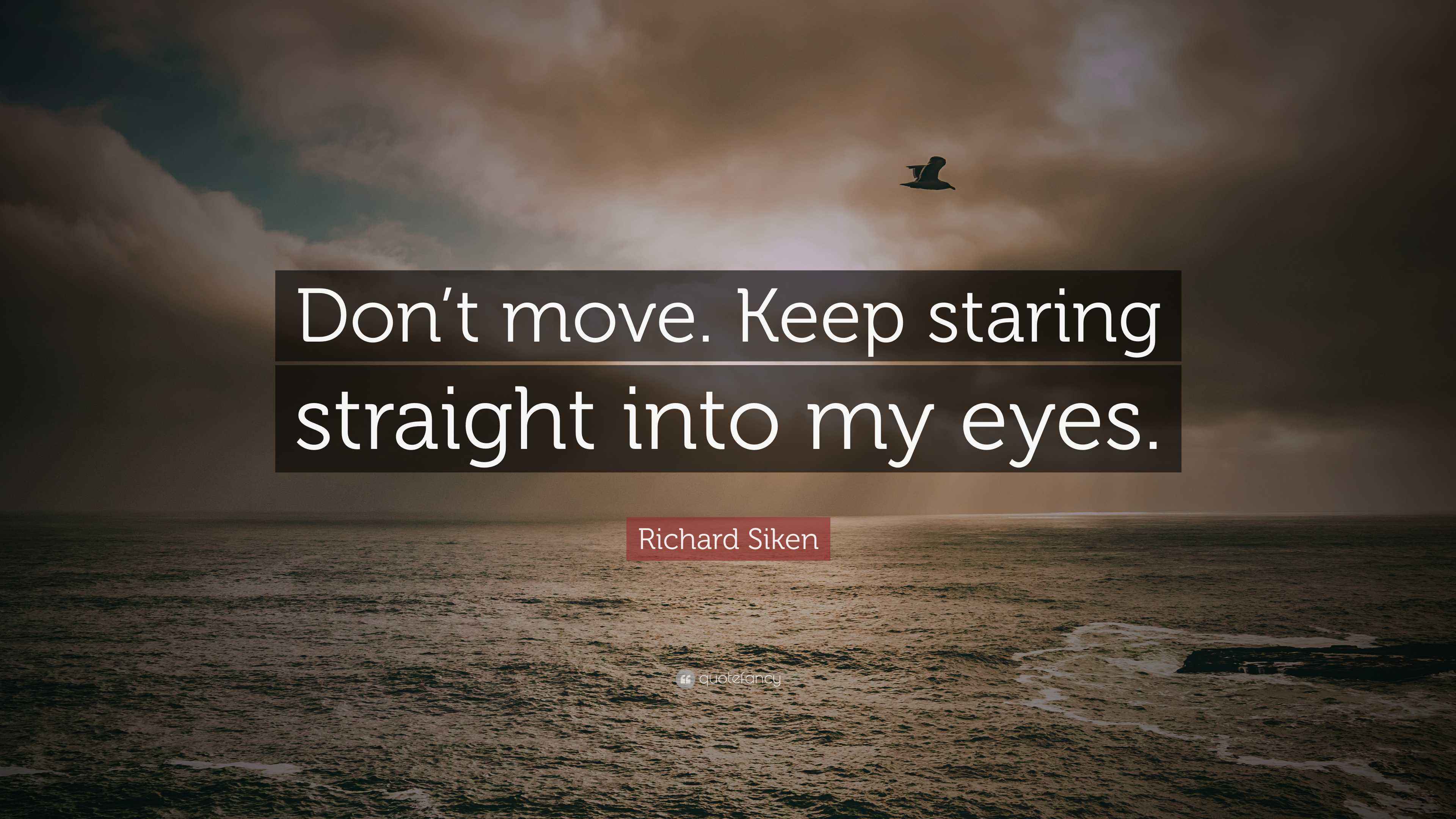 Richard Siken Quote: “Don’t move. Keep staring straight into my eyes.”