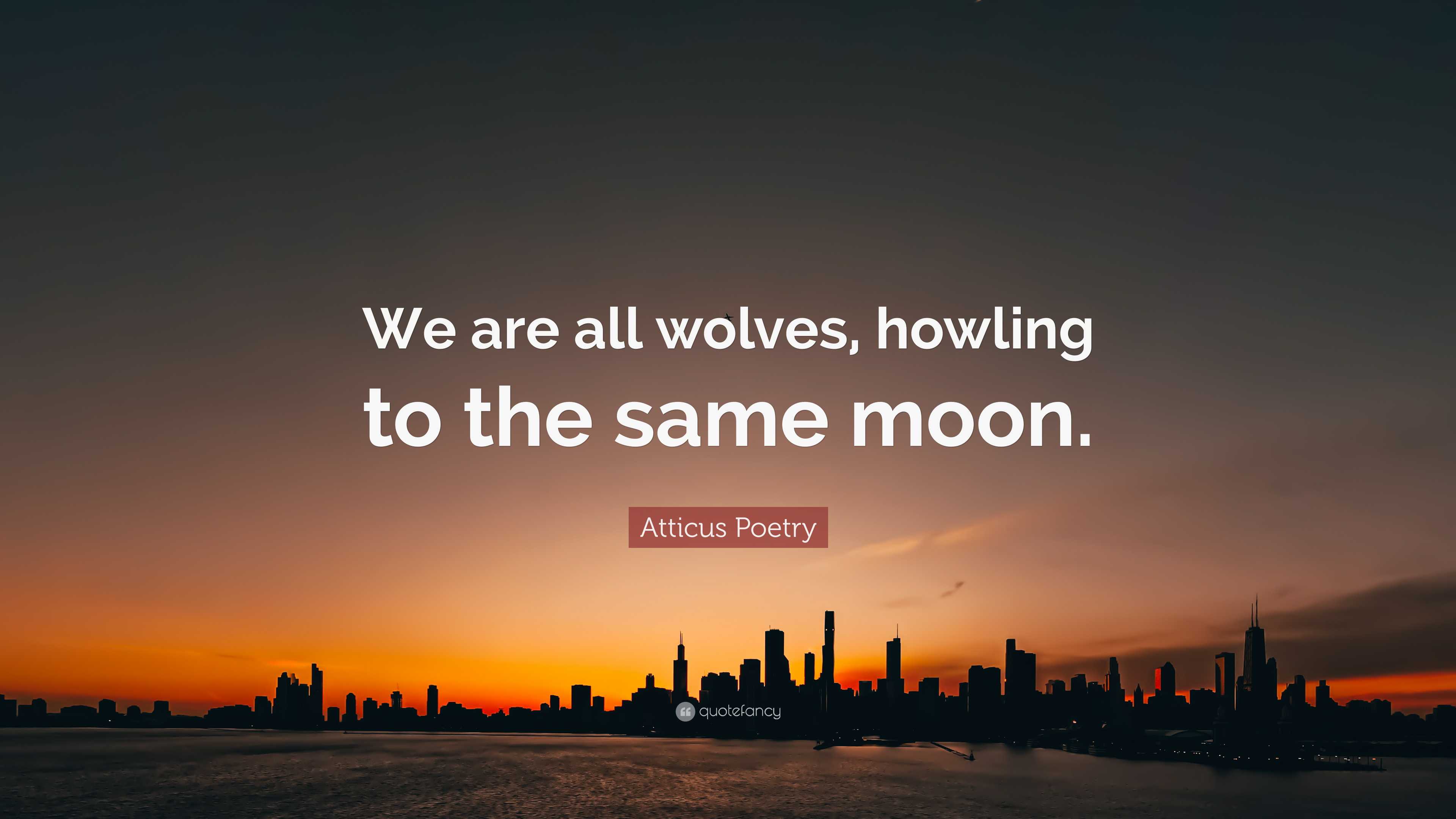 Atticus Poetry Quote: “We are all wolves, howling to the same moon.”