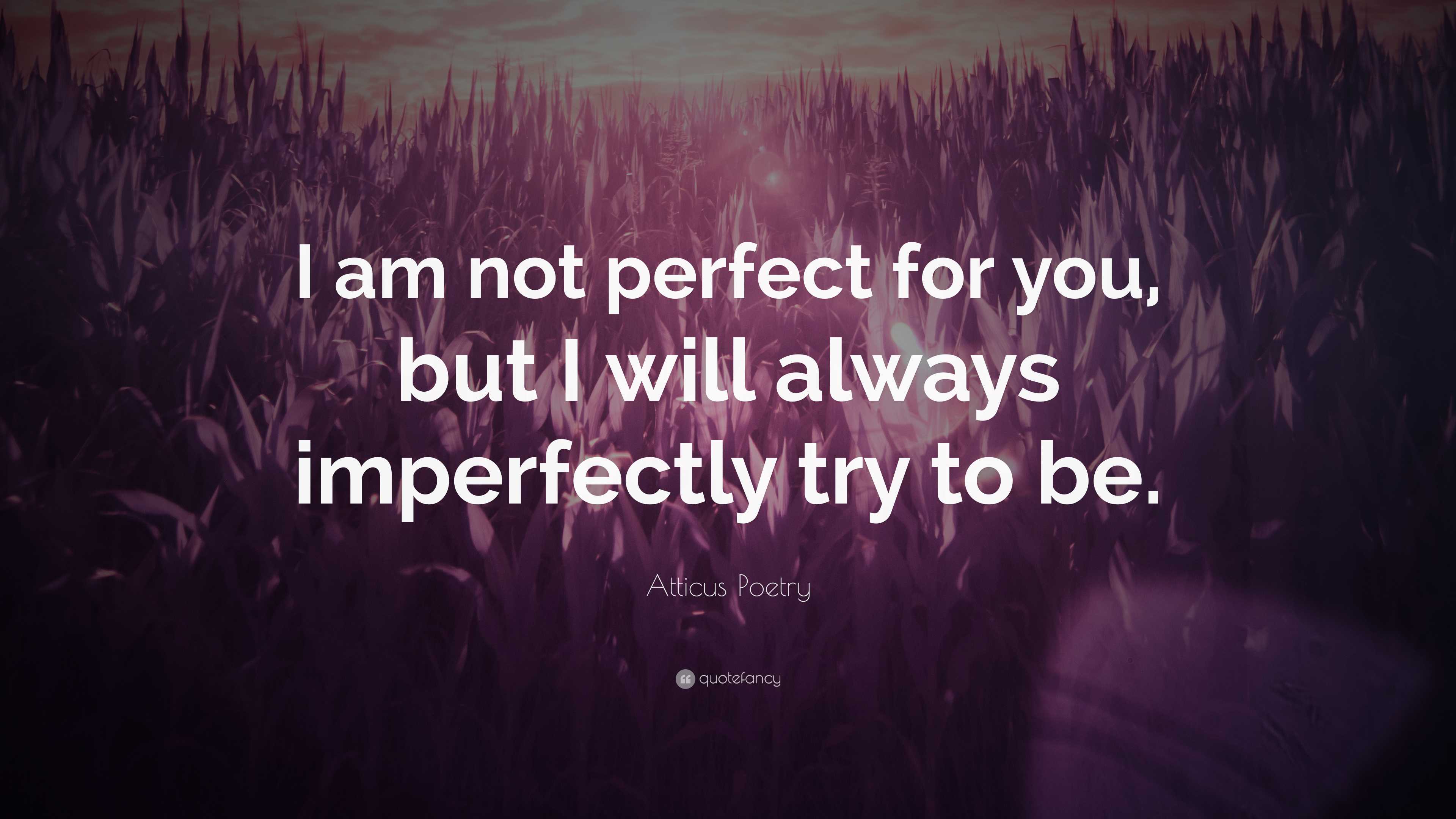 Atticus Poetry Quote: “I am not perfect for you, but I will always ...
