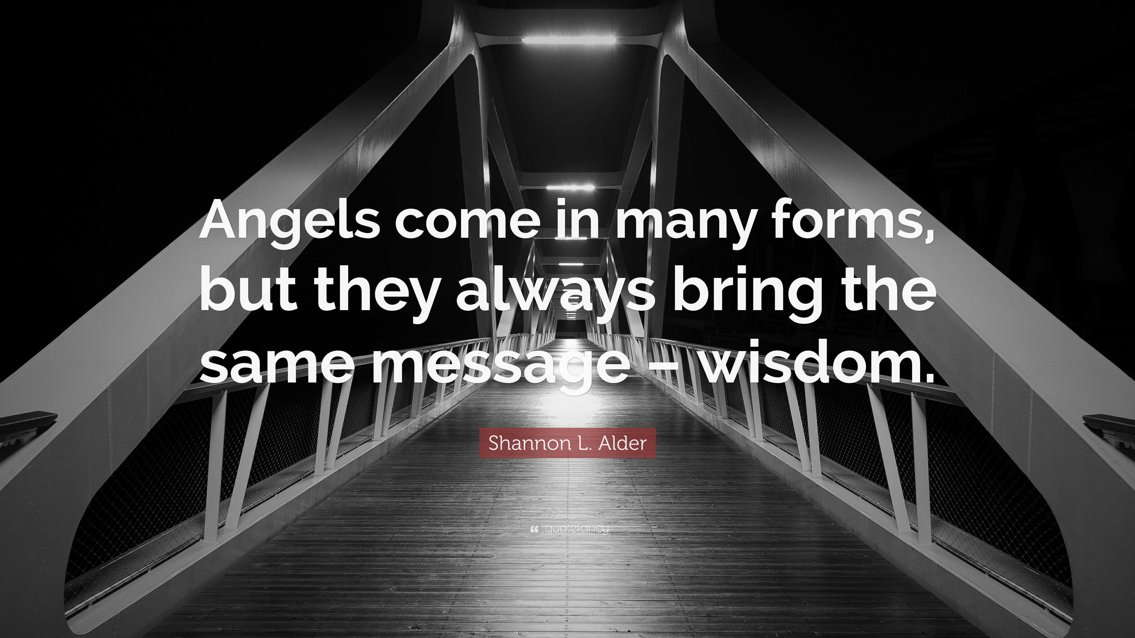 Shannon L. Alder Quote: “Angels come in many forms, but they always ...