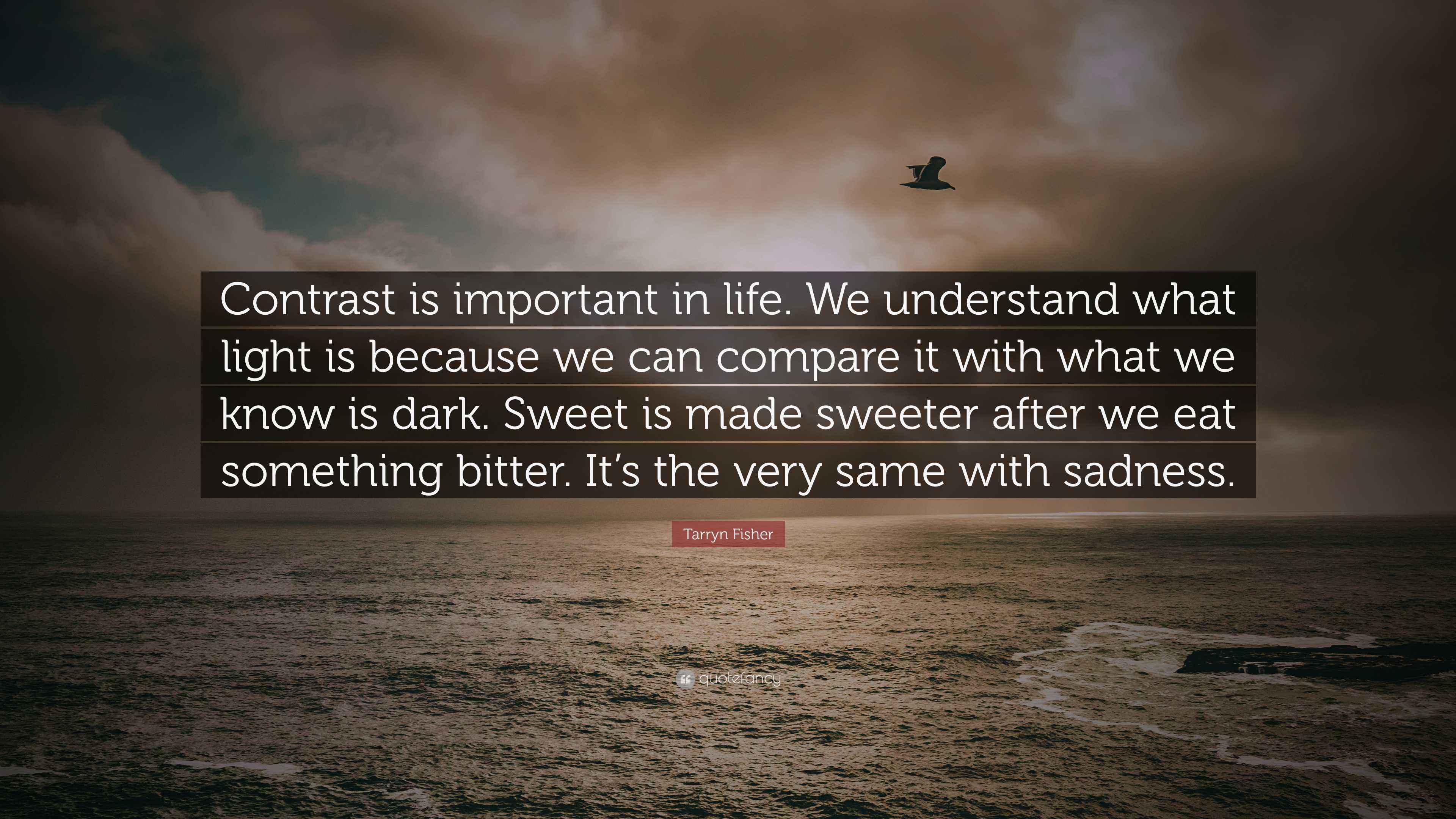 Tarryn Fisher Quote: “Contrast is important in life. We understand what ...