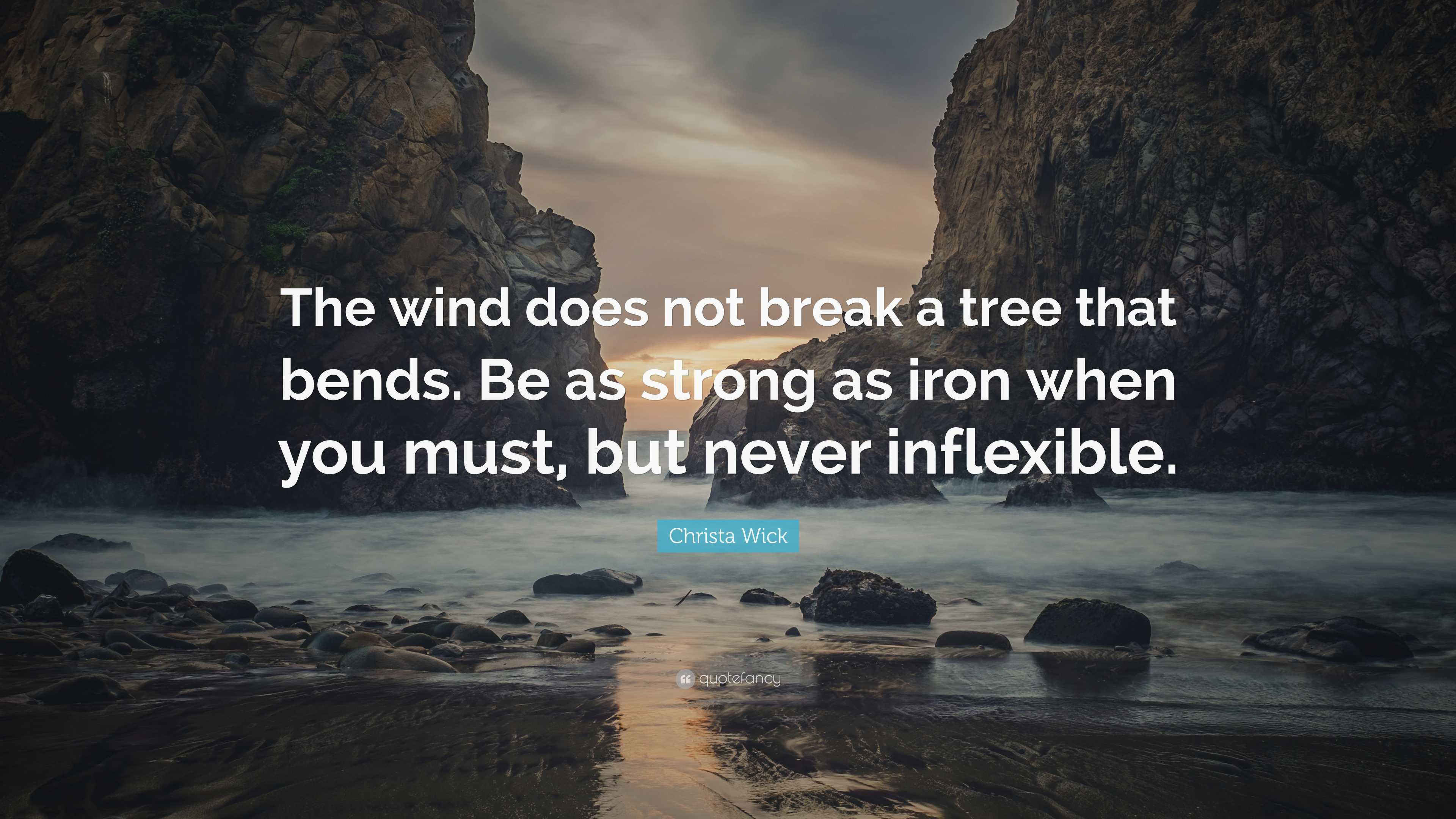 Christa Wick Quote: “The wind does not break a tree that bends. Be as ...