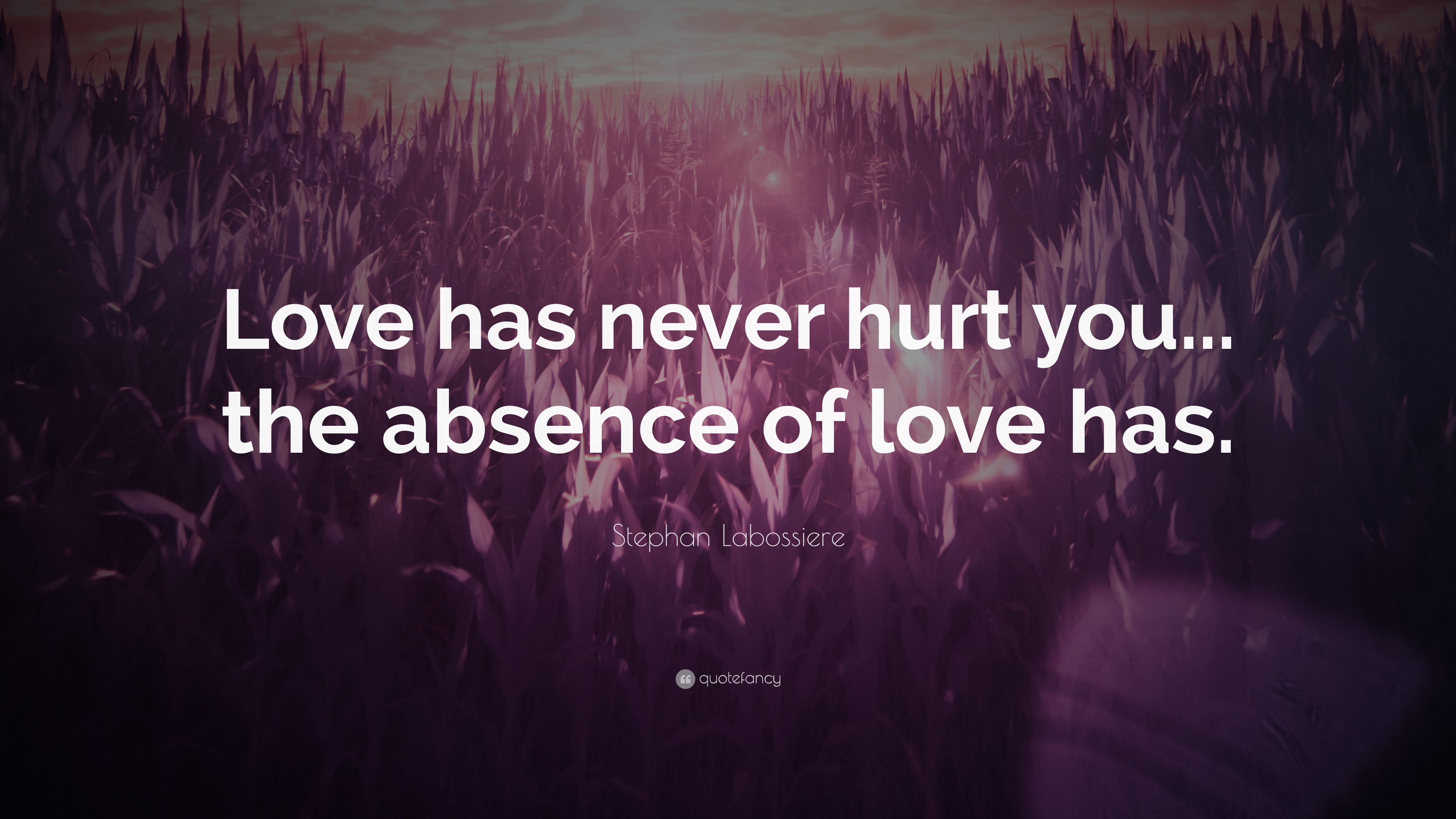 Stephan Labossiere Quote: “Love has never hurt you... the absence of ...