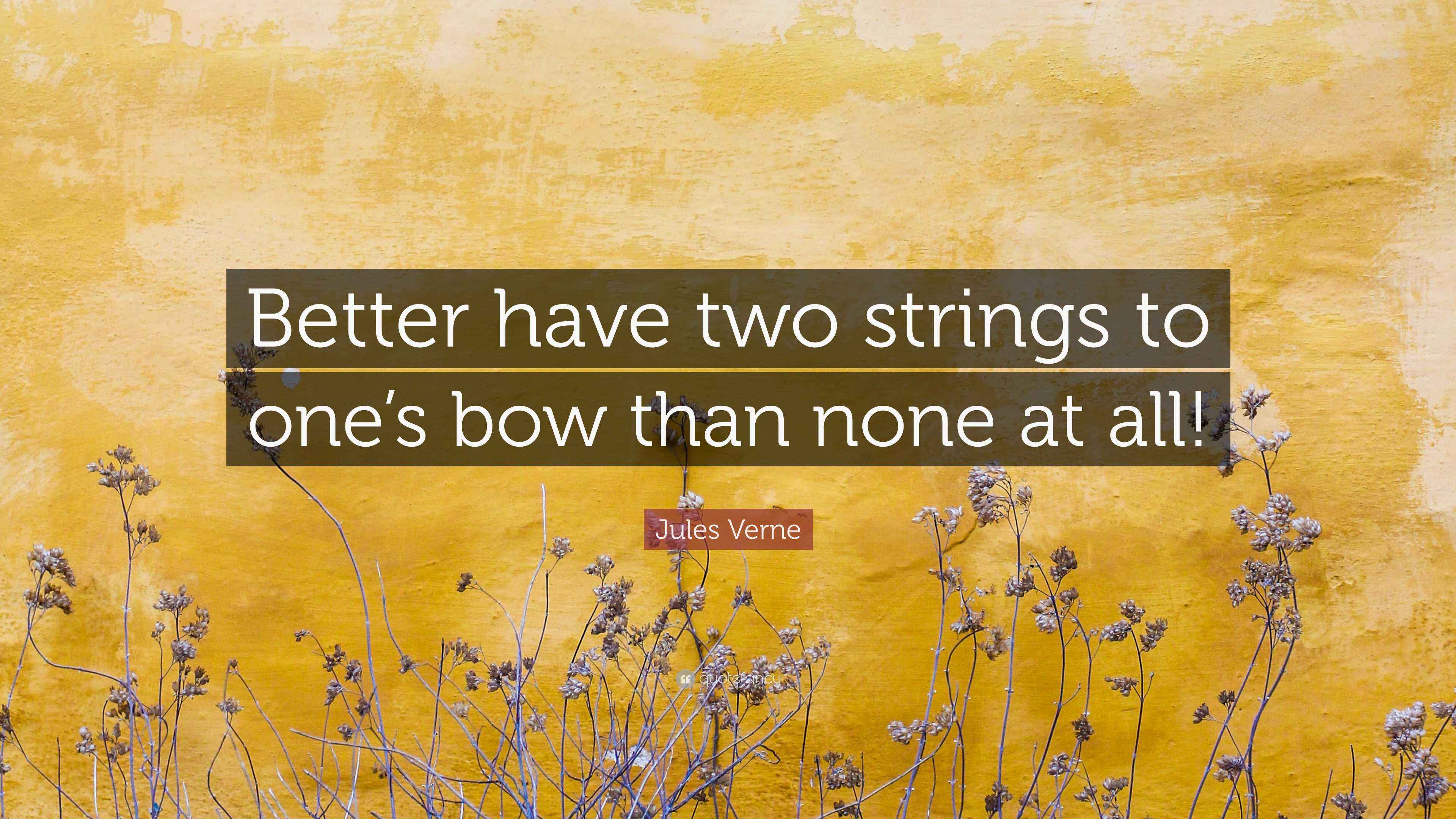 Jules Verne Quote: “Better have two strings to one’s bow than none at all!”
