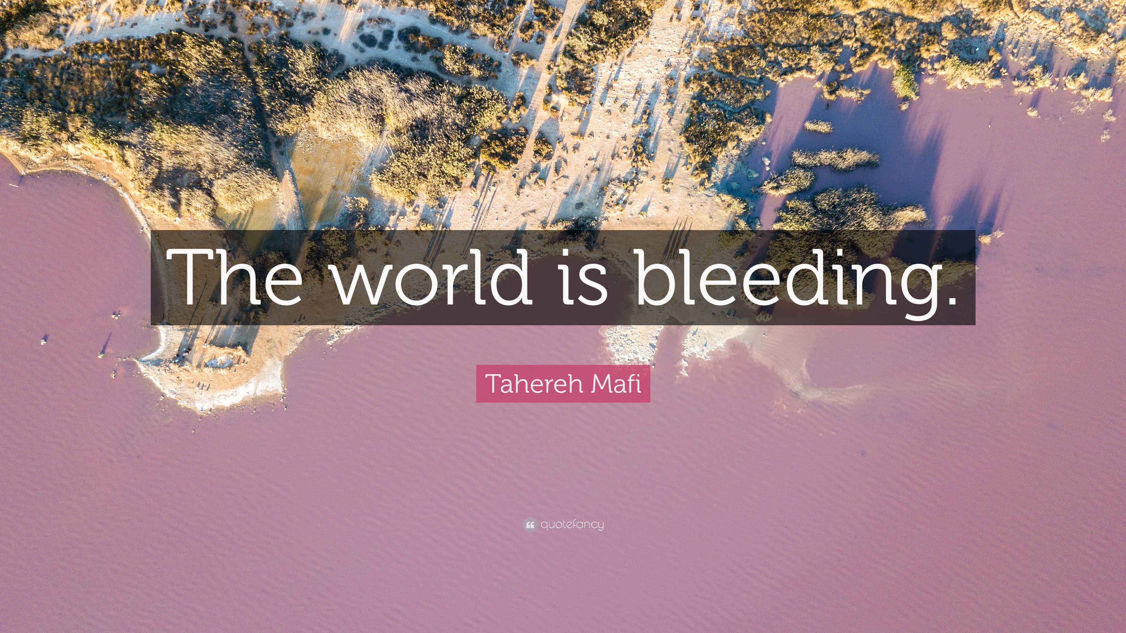 Tahereh Mafi Quote: “The world is bleeding.”