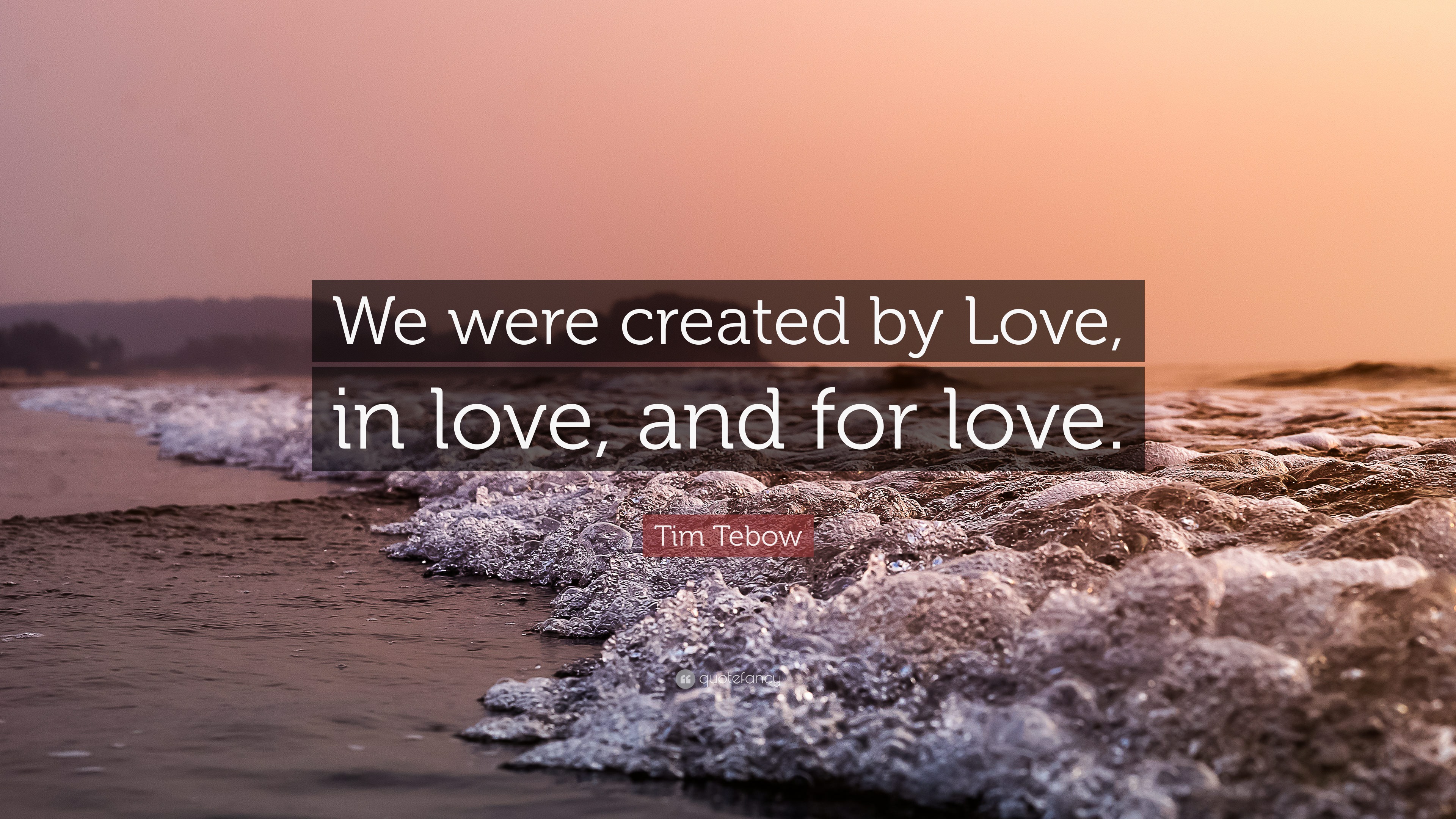 Tim Tebow Quote: “We were created by Love, in love, and for love.”