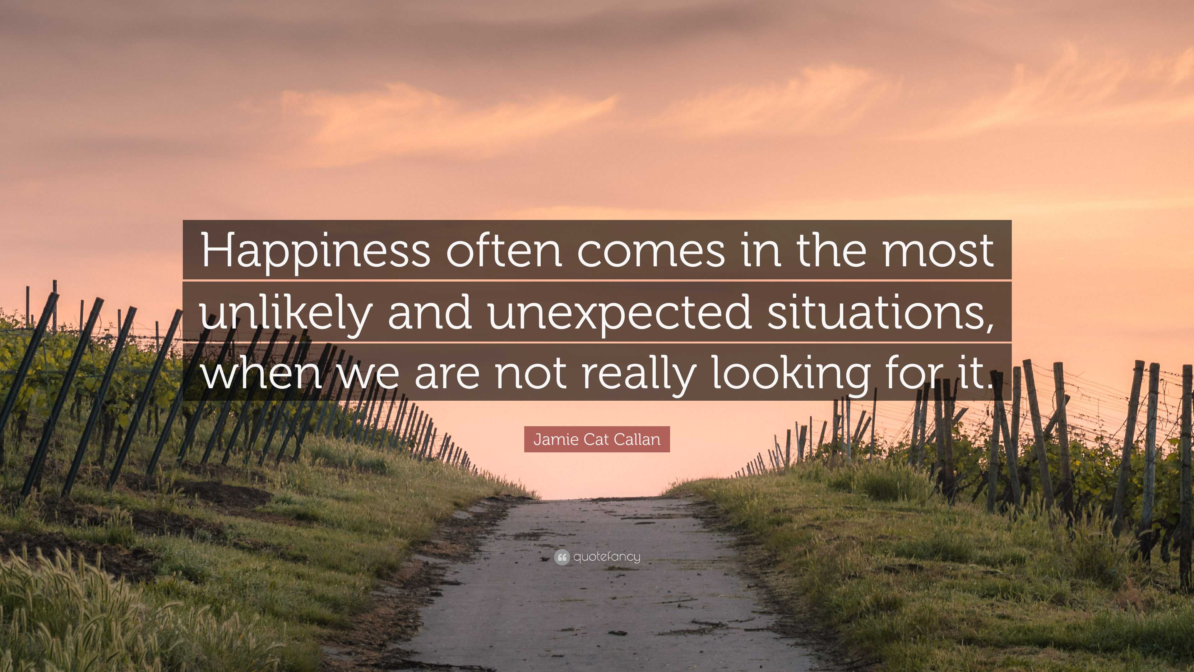 Jamie Cat Callan Quote: “Happiness often comes in the most unlikely and ...