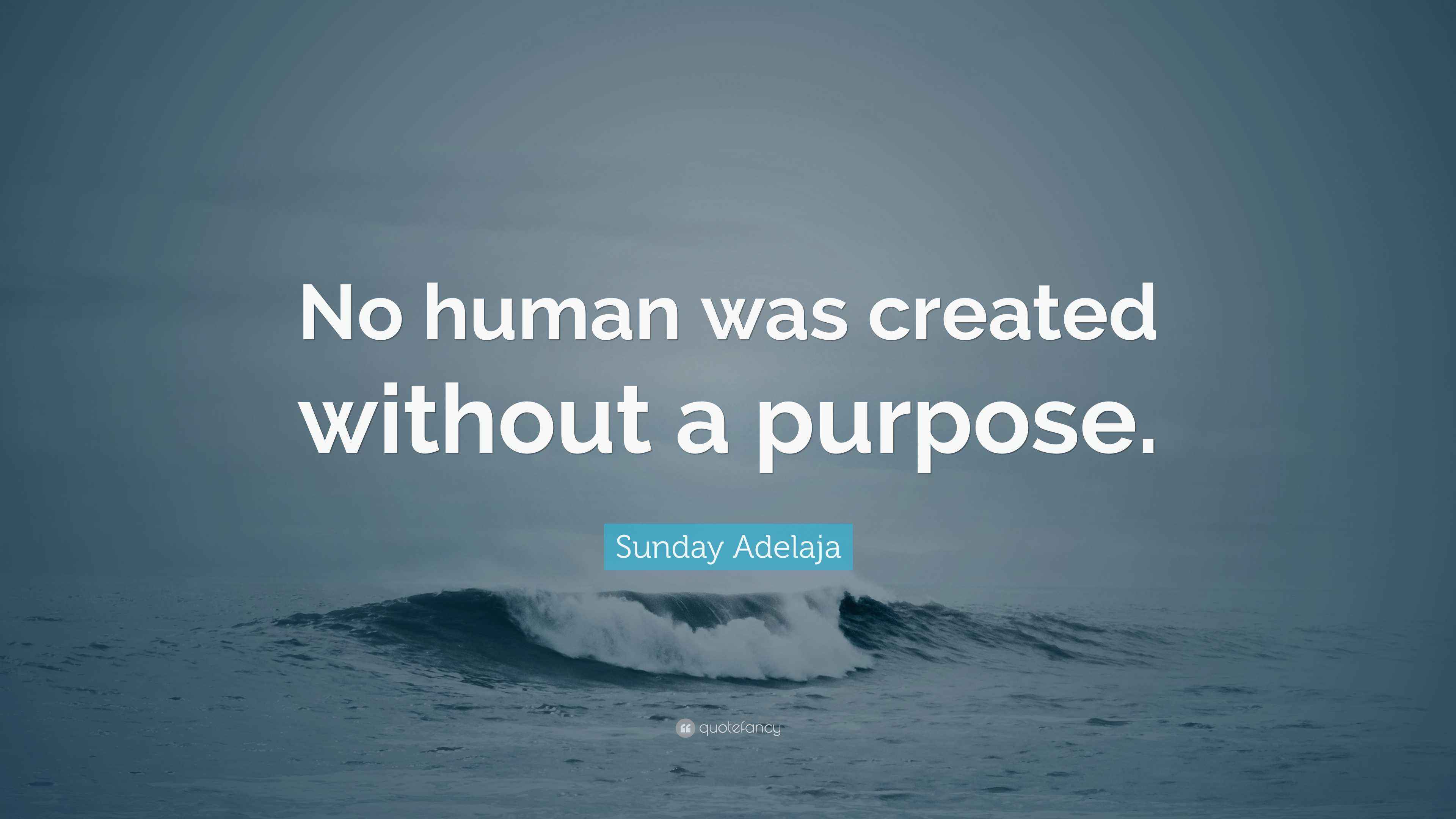 Sunday Adelaja Quote: “No human was created without a purpose.”