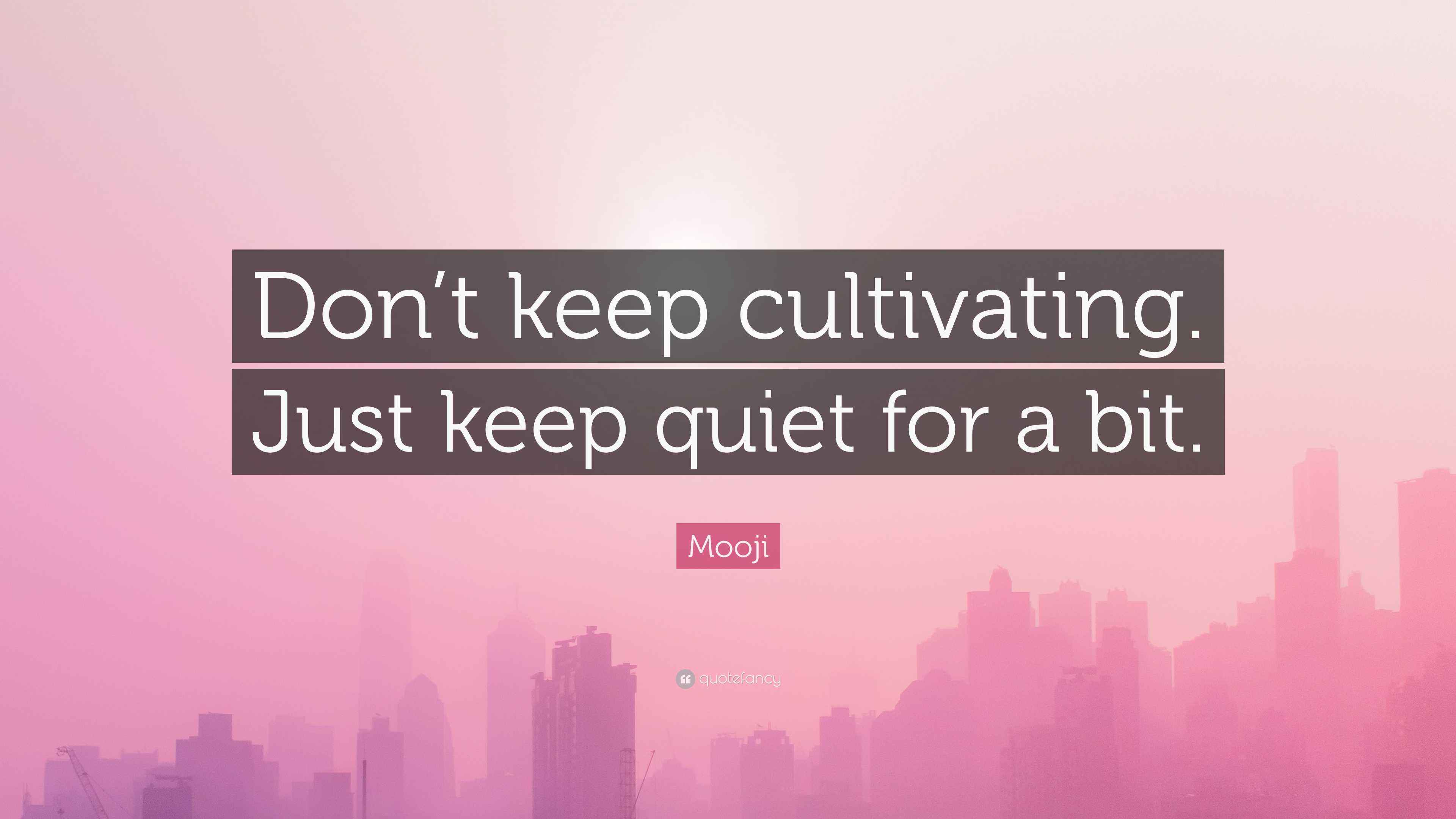 Mooji Quote: “Don’t keep cultivating. Just keep quiet for a bit.”