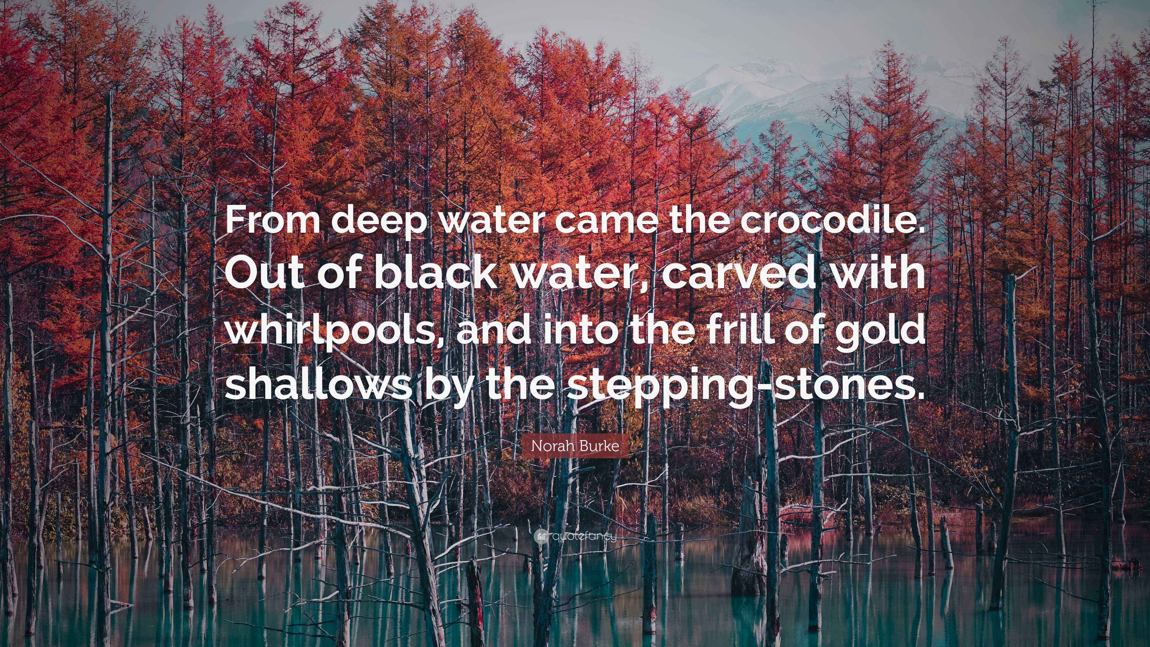 Norah Burke Quote: “From deep water came the crocodile. Out of black ...