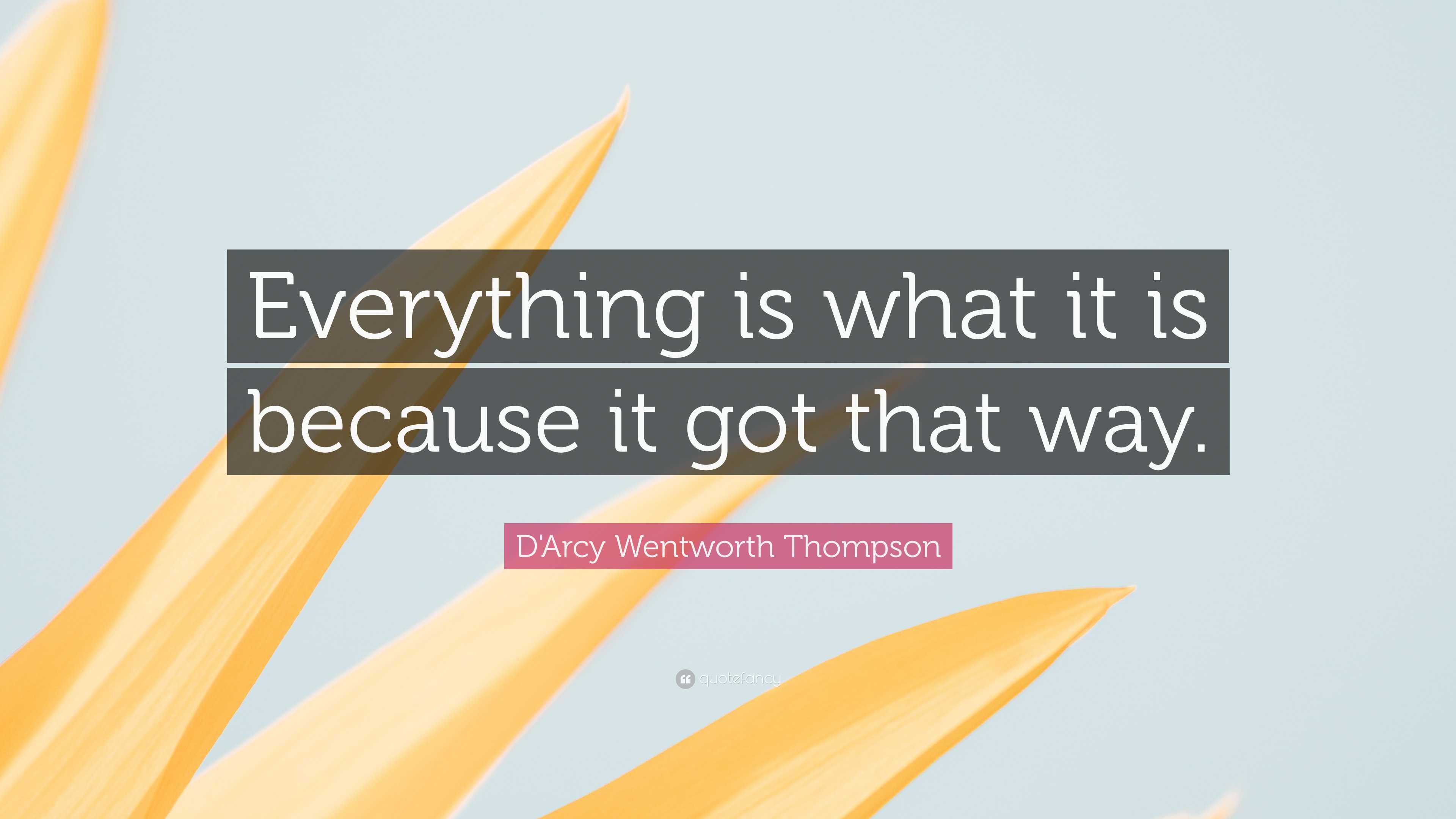 D'Arcy Wentworth Thompson Quote: “Everything is what it is because it ...