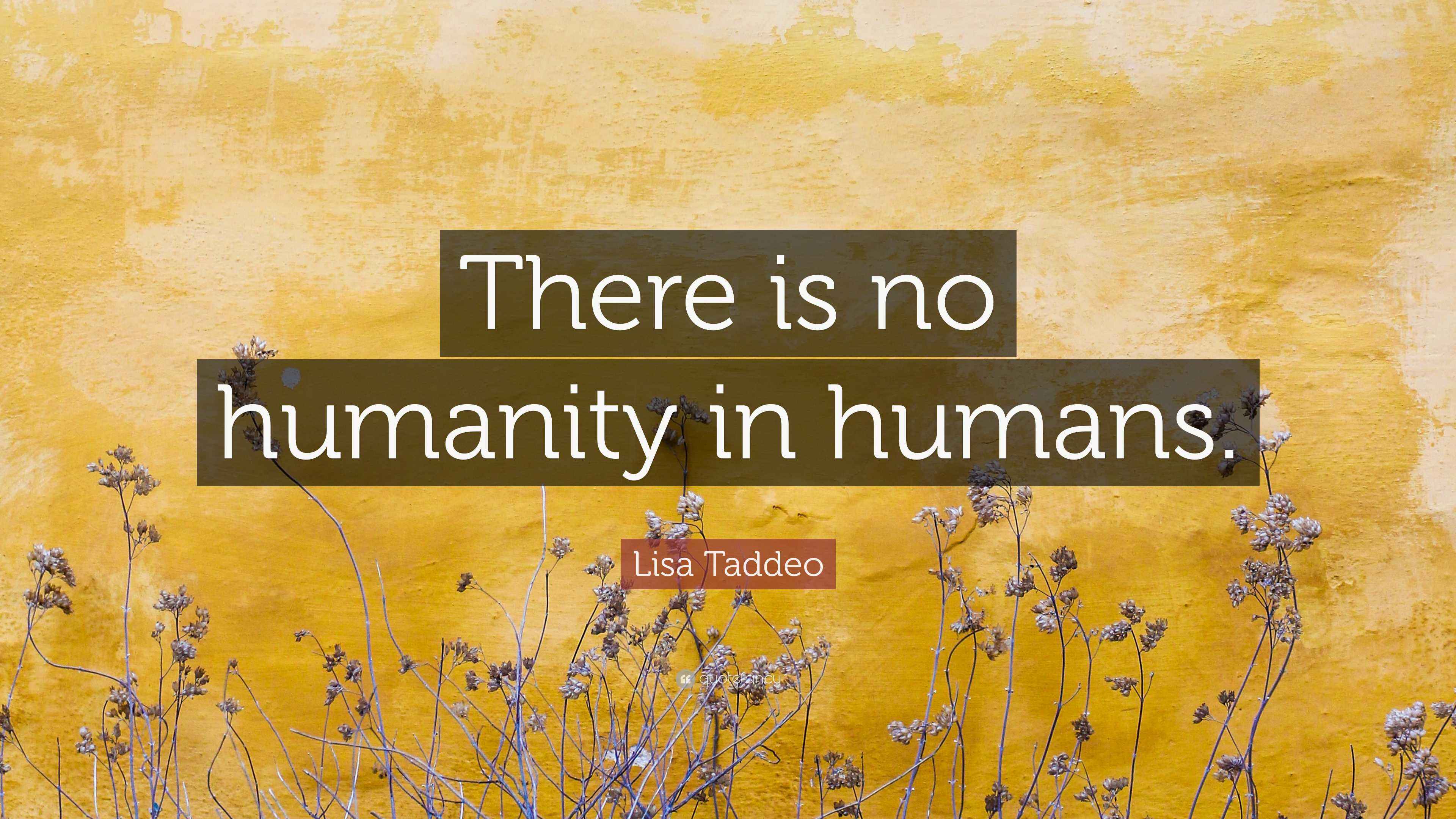 Lisa Taddeo Quote: “There is no humanity in humans.”