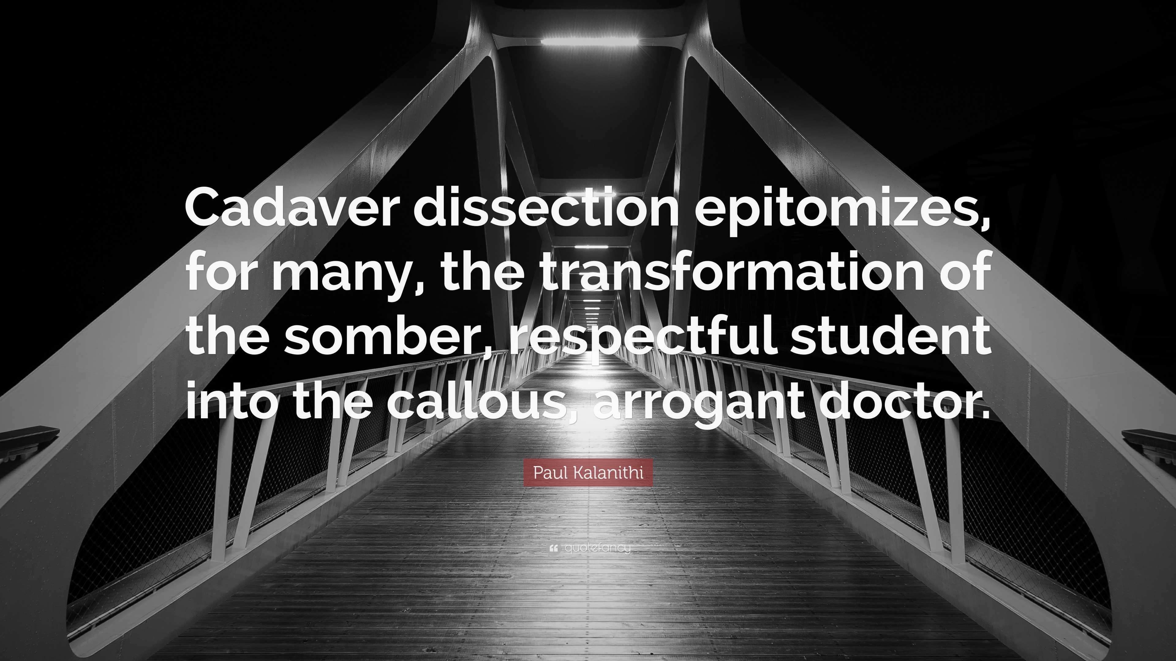 Cadaver Lab Quotes
