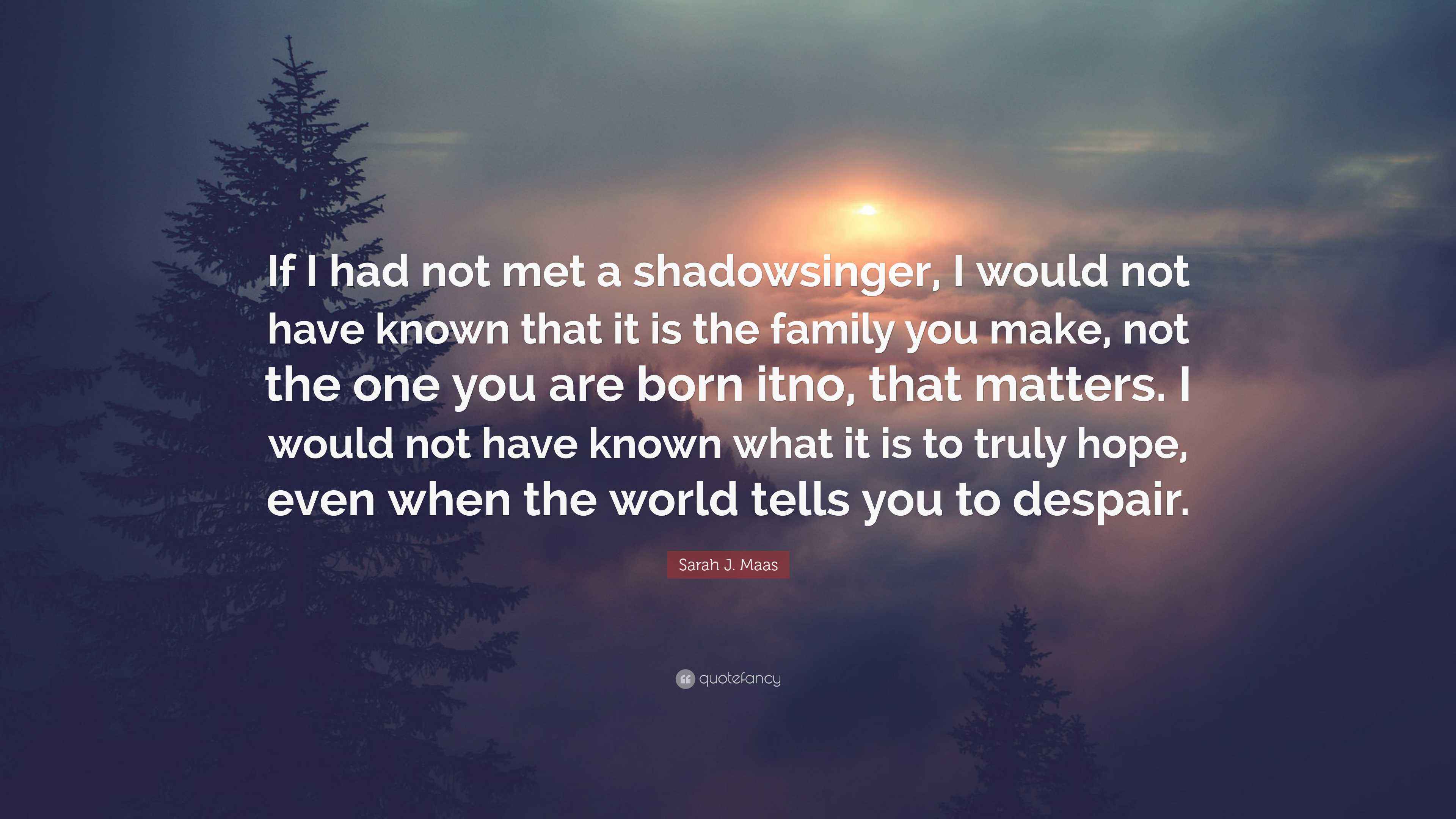 Sarah J. Maas Quote: “If I had not met a shadowsinger, I would not have ...