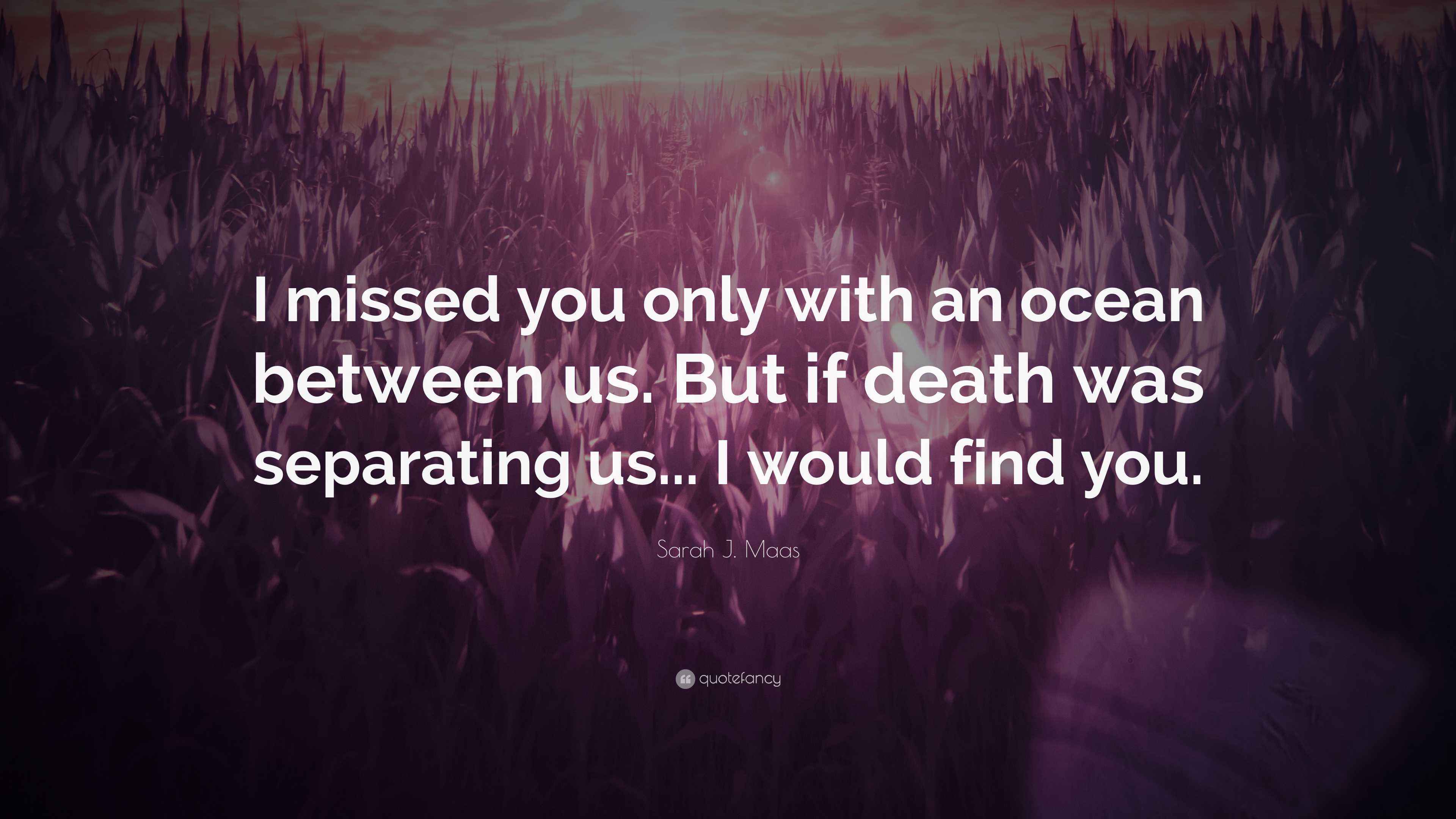 Sarah J. Maas Quote: “I missed you only with an ocean between us. But ...