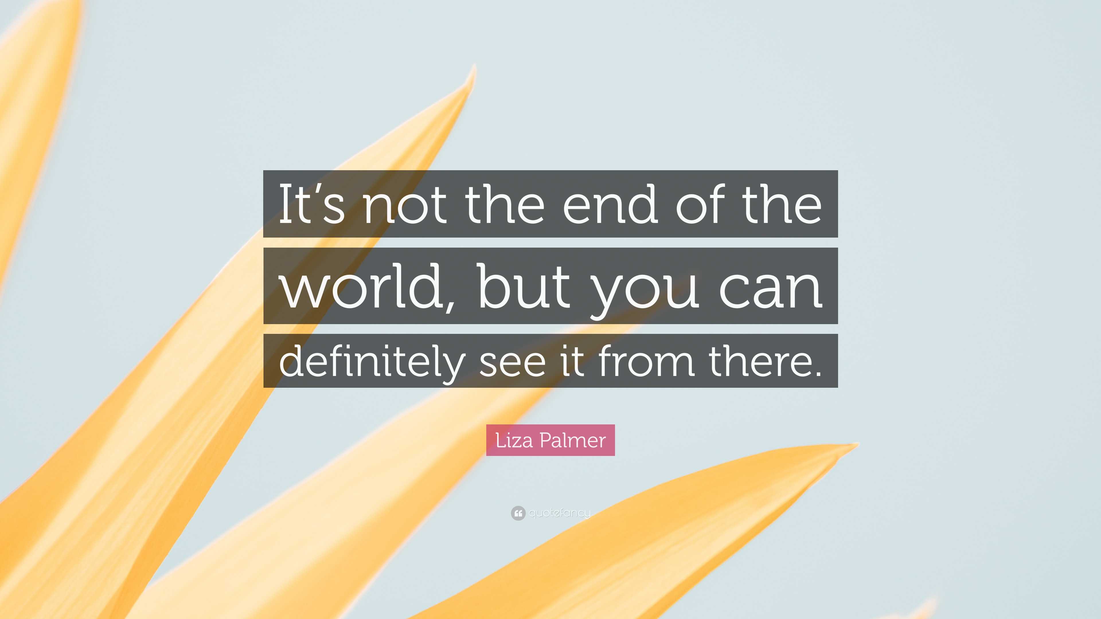 Liza Palmer Quote: “It’s not the end of the world, but you can ...