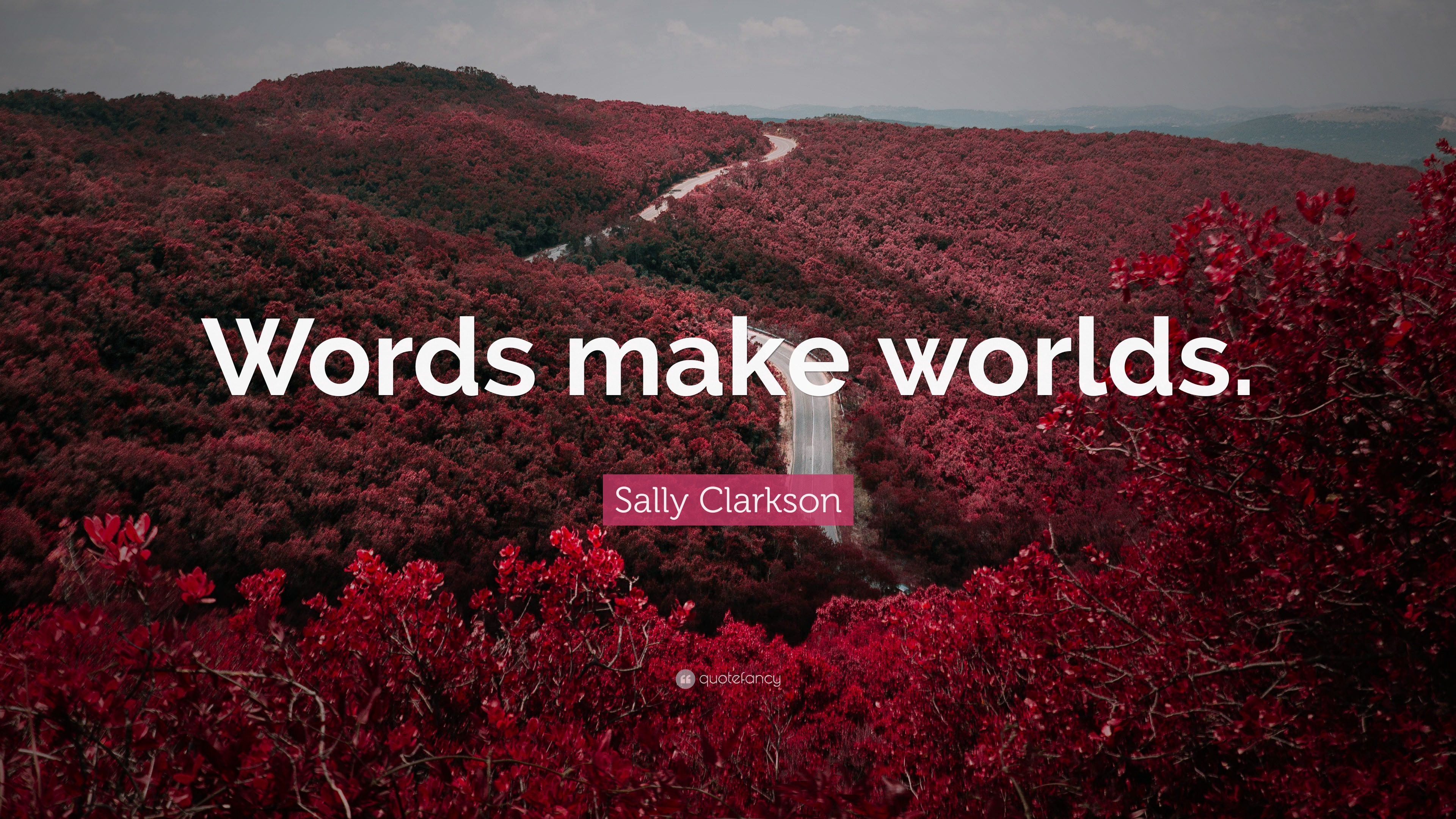Sally Clarkson Quote: “Words make worlds.”