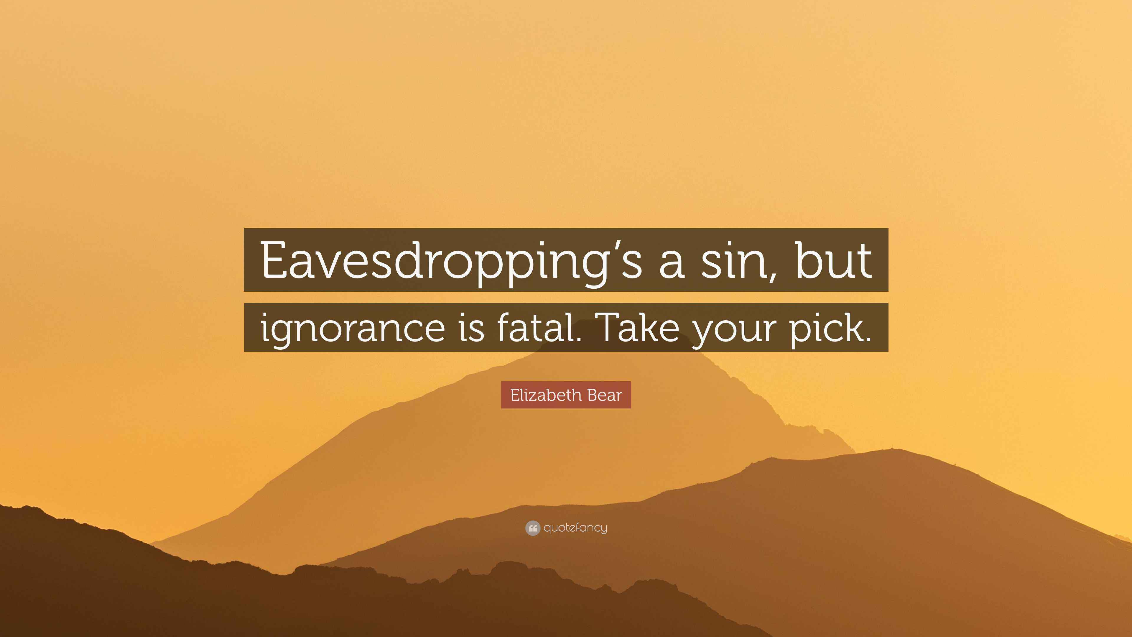 Elizabeth Bear Quote: “Eavesdropping’s a sin, but ignorance is fatal ...