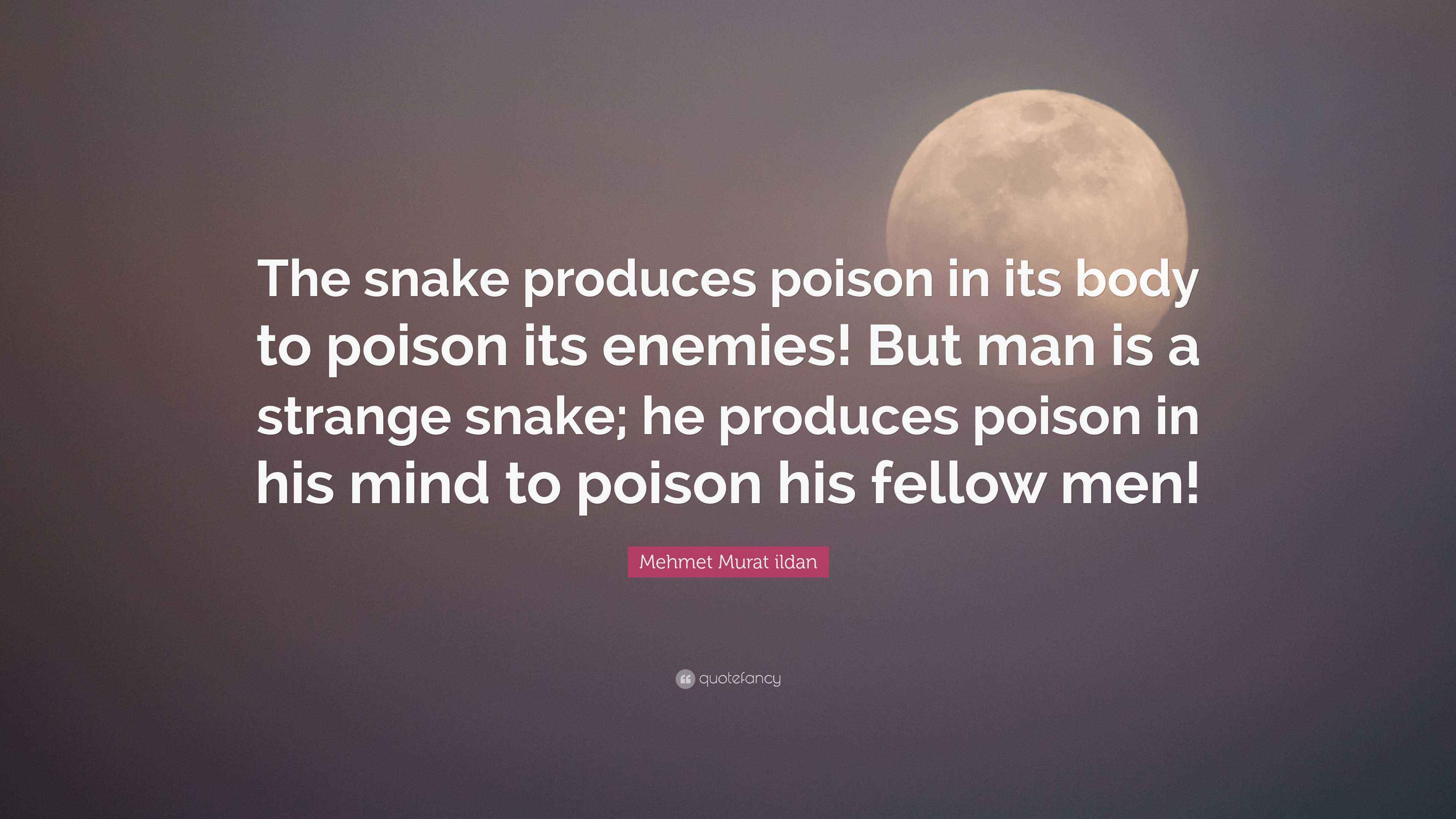 Snake Enemy Quotes